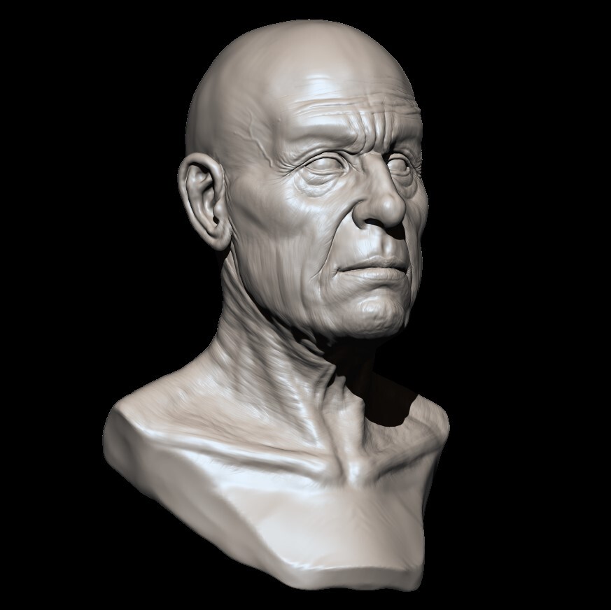 ArtStation - Realistic Head Sculpt