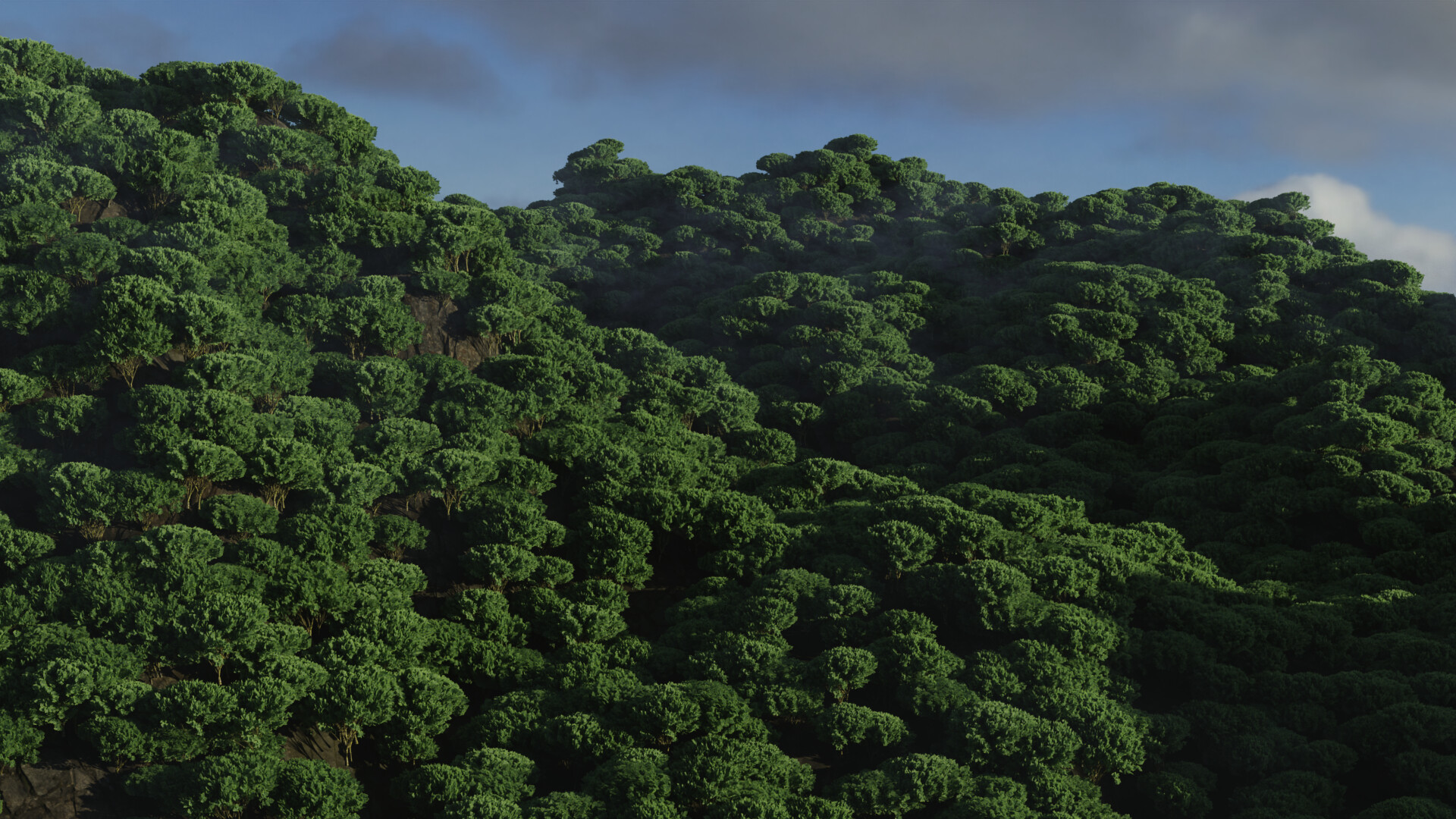 ArtStation - Forest Canopy