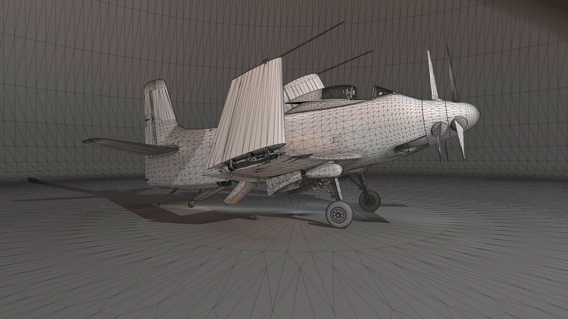 Roman Stepaniuk - Airplane AD2 skyshark