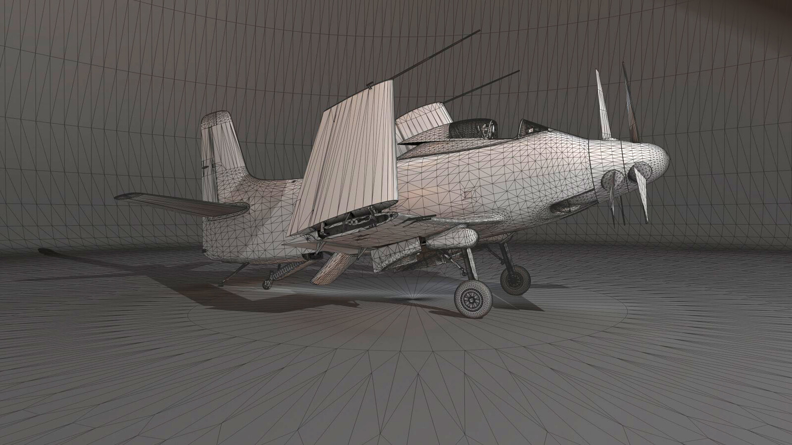 Roman Stepaniuk - Airplane AD2 skyshark