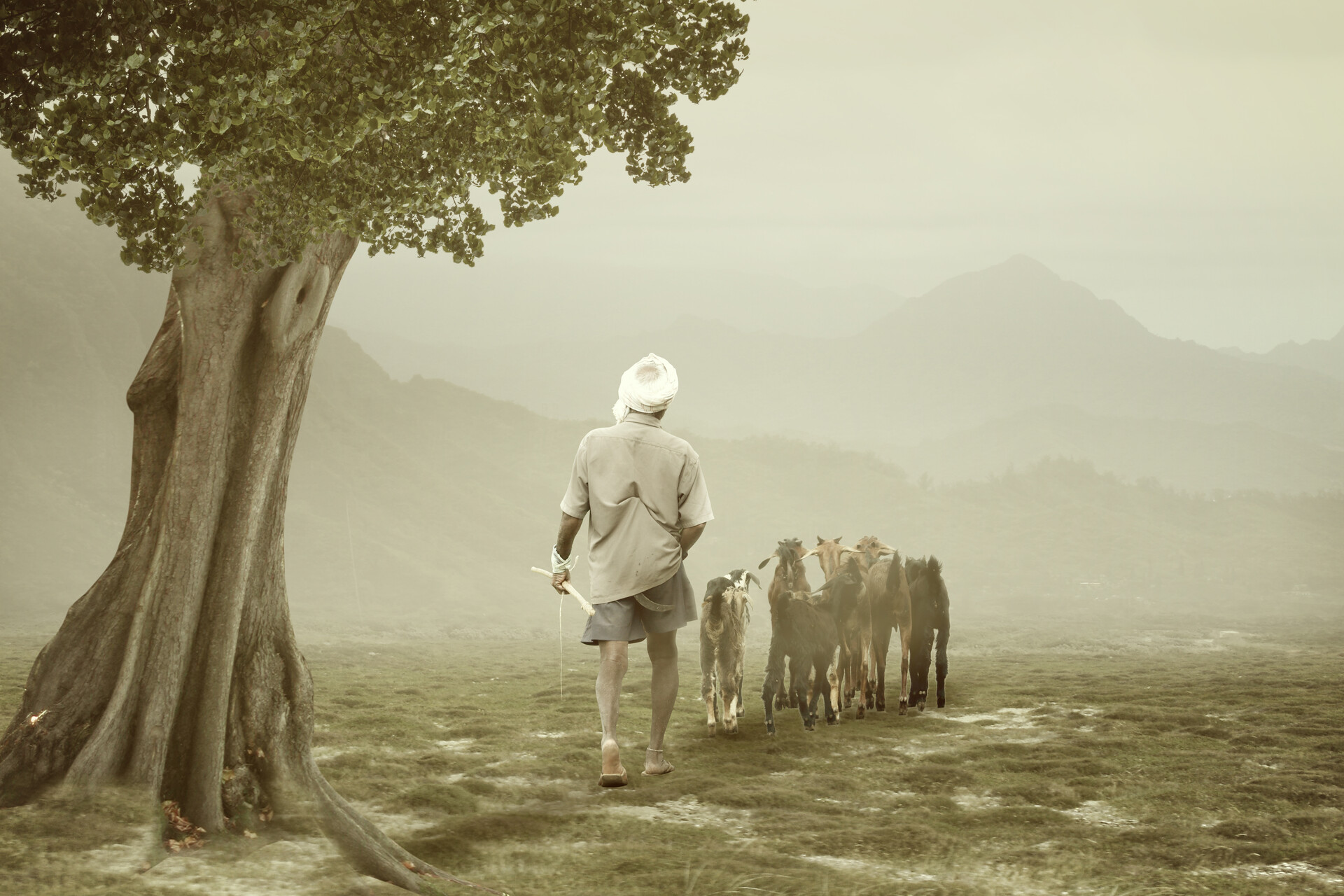 ArtStation - Create a Dramatic Graphic Art