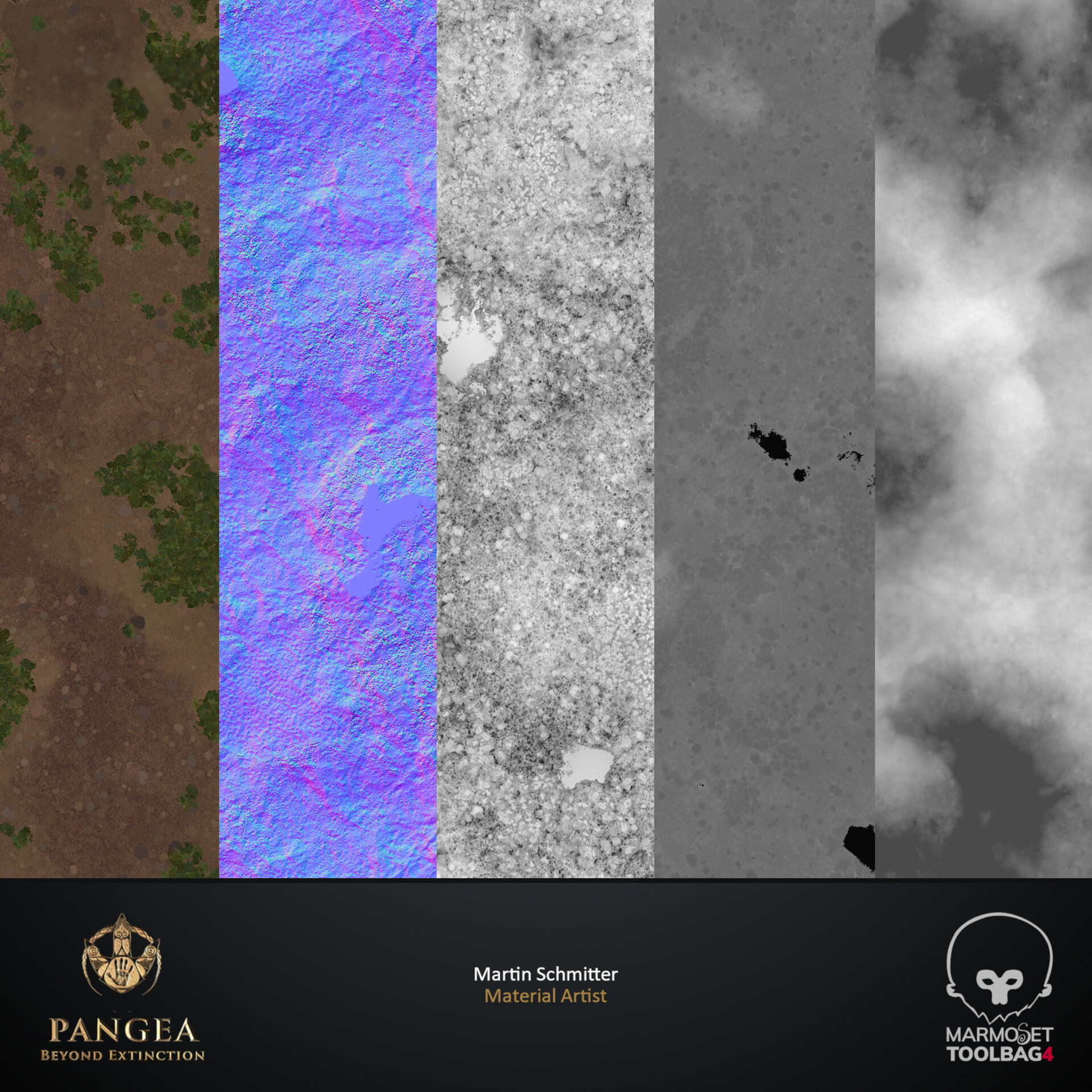 Martin Schmitter - Pangea Beyond Extinction - Dirt Materials Showcase