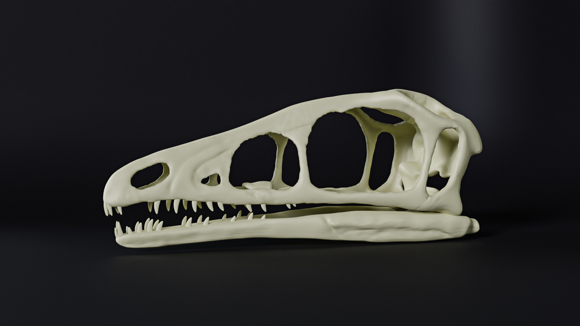 compsognathus skeleton 3d