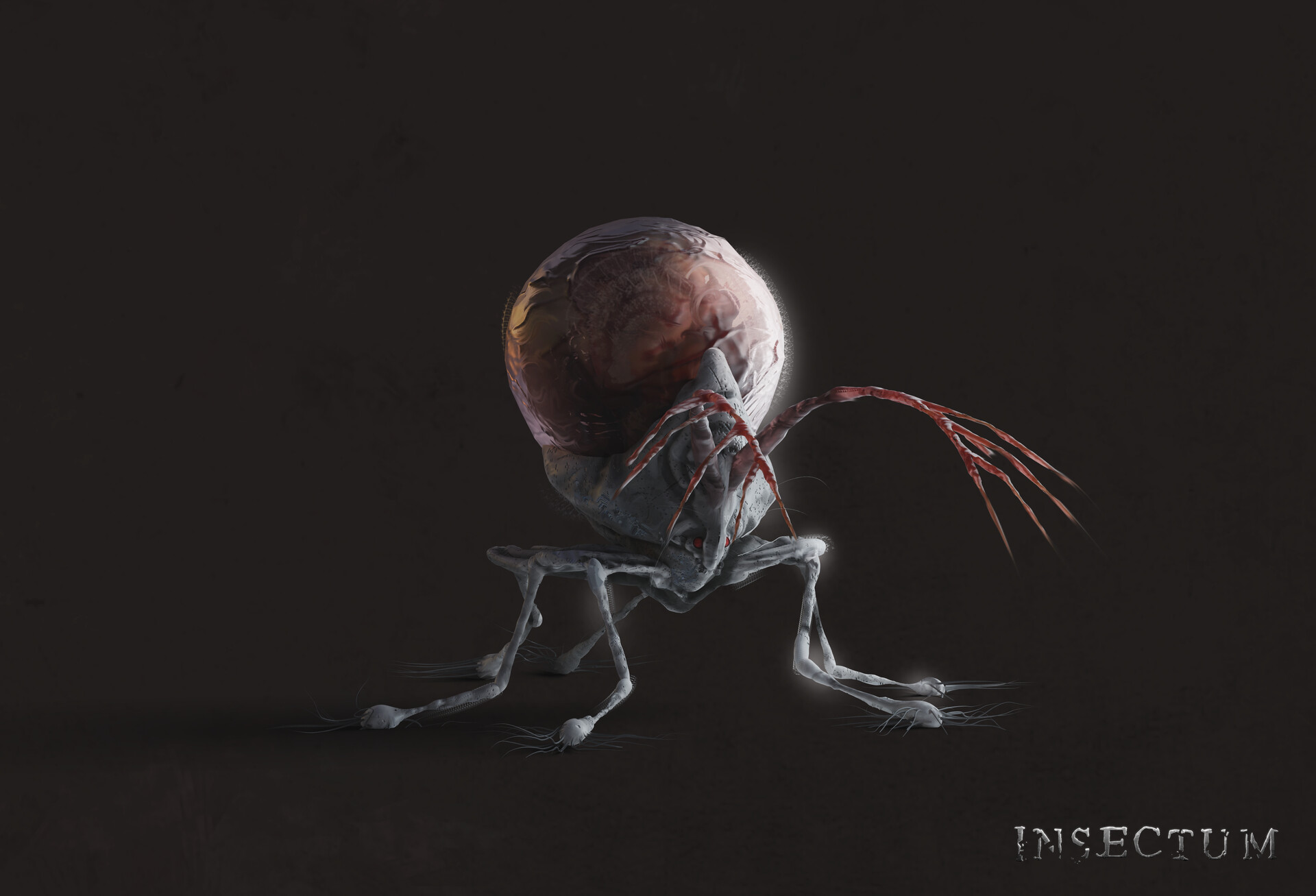 Maryse Heilig - Insectum | CRAVIC