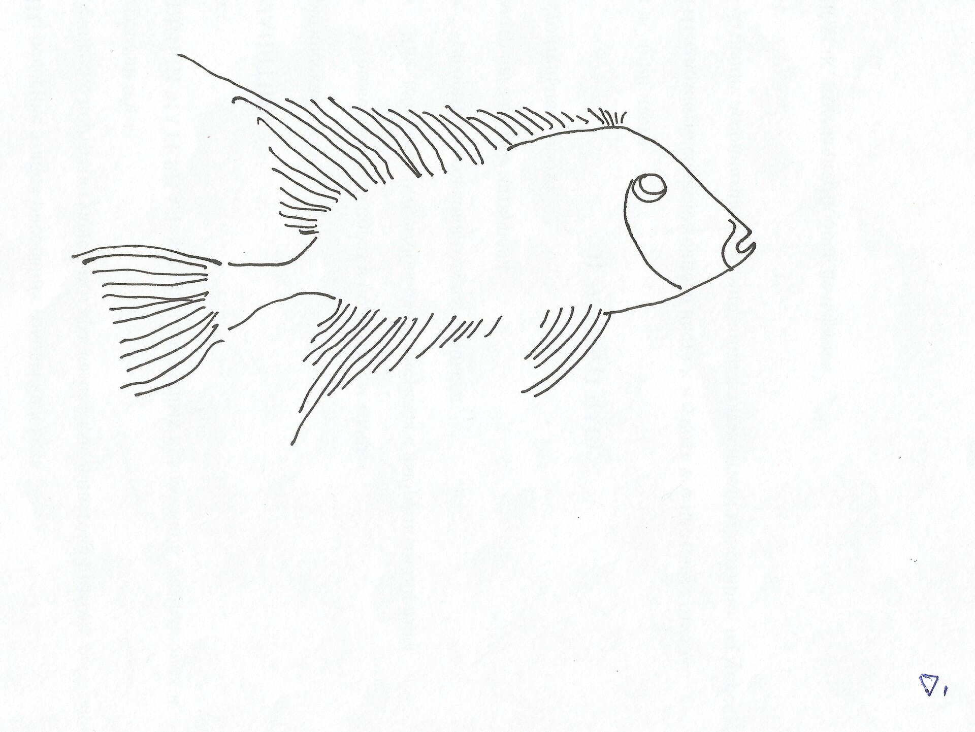 ArtStation - white fish