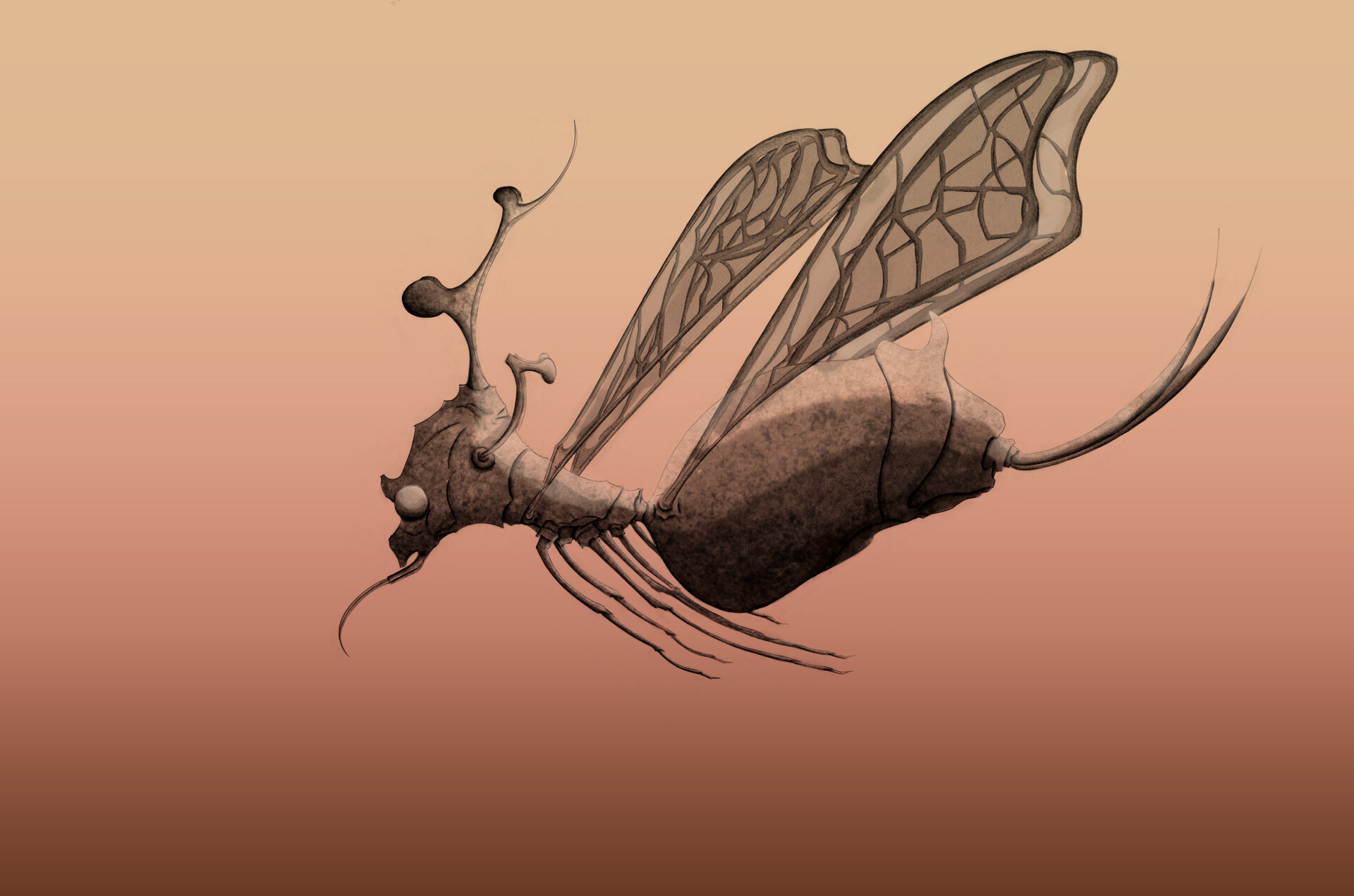 ArtStation - Mount insect