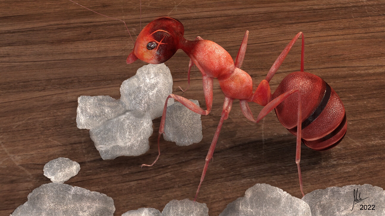 ArtStation - Ant