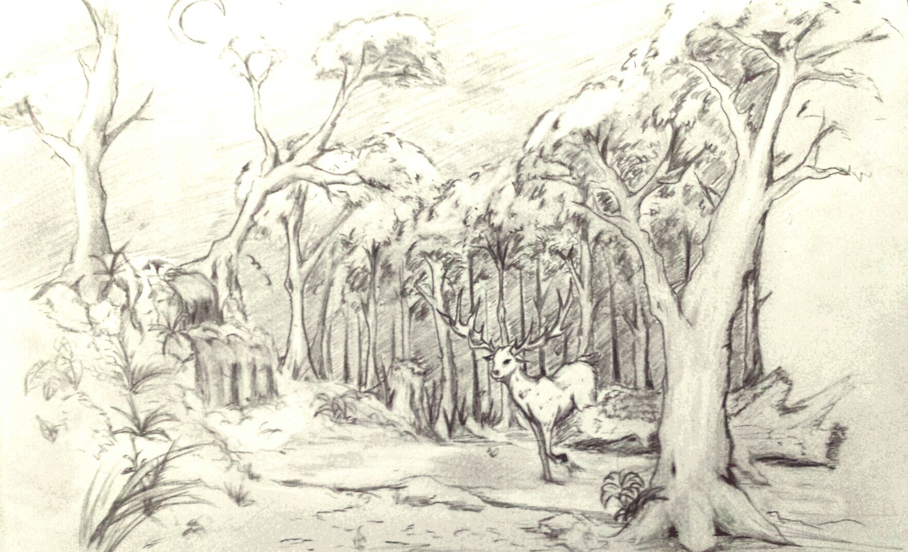 ArtStation - Forest Sketch