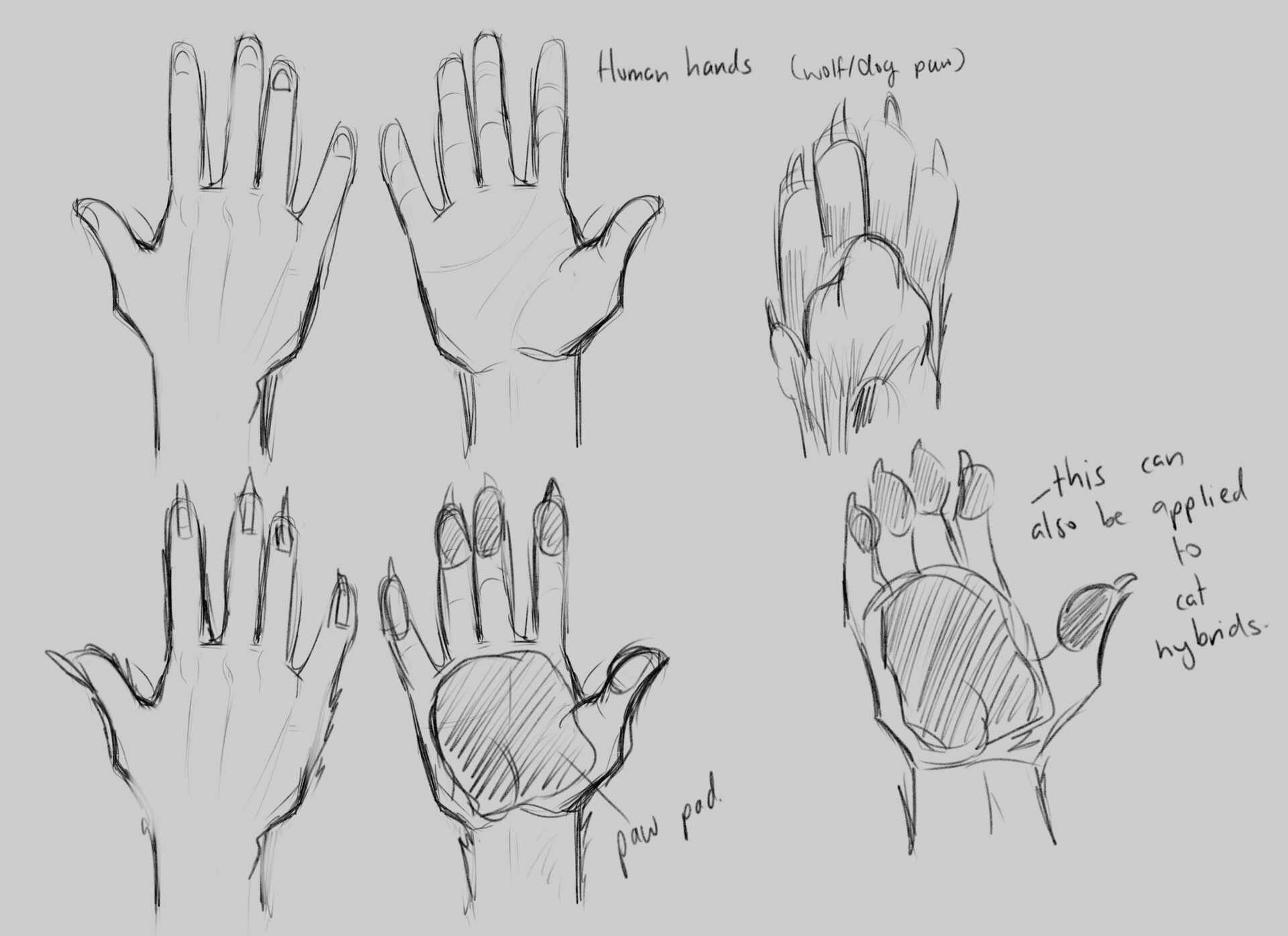 Aima - When my lecturer wanted furry assignments