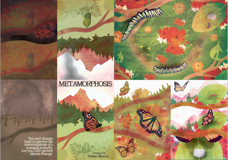 ArtStation - Butterfly Zine - Visual Narrative