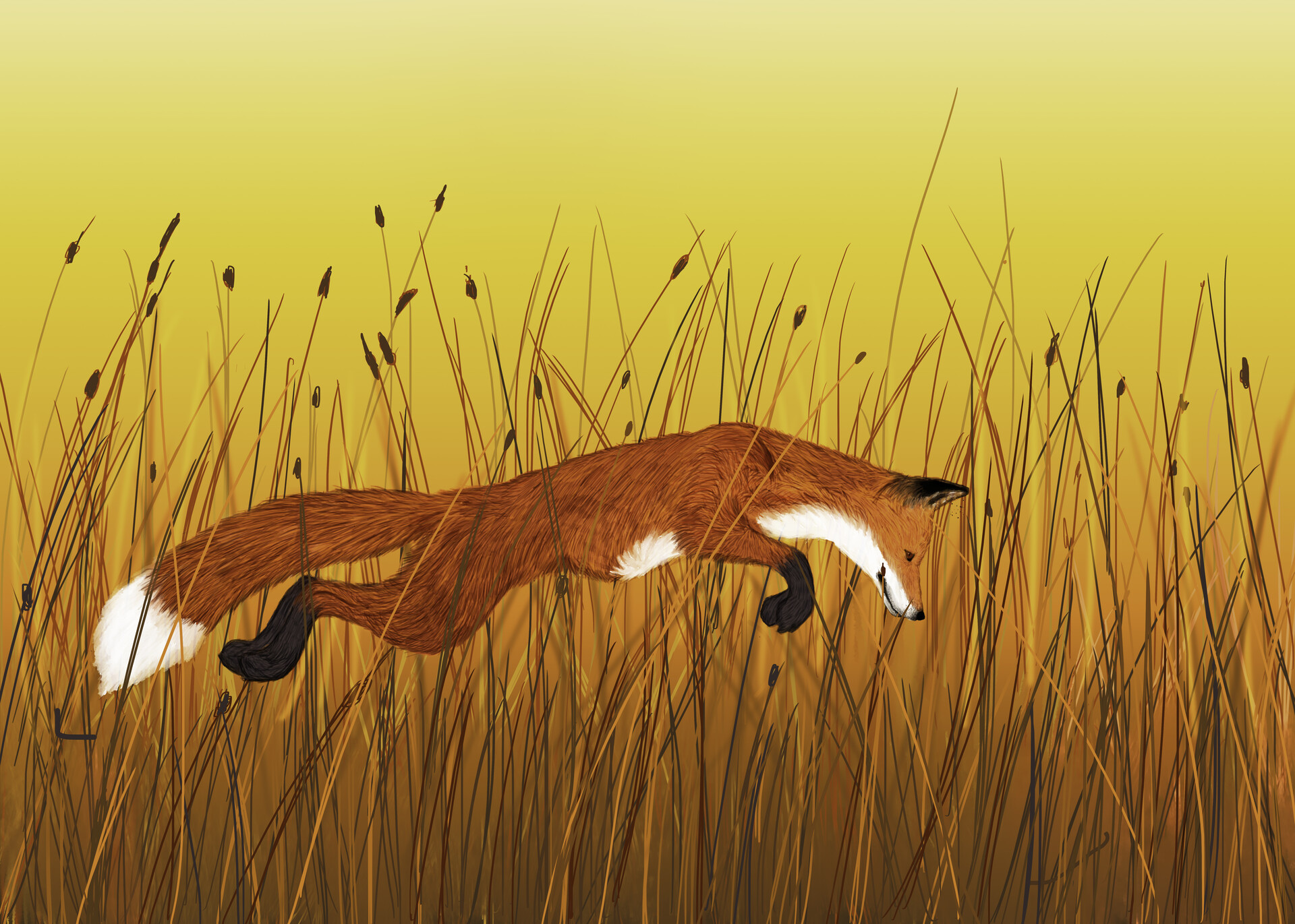 ArtStation - The Red Fox