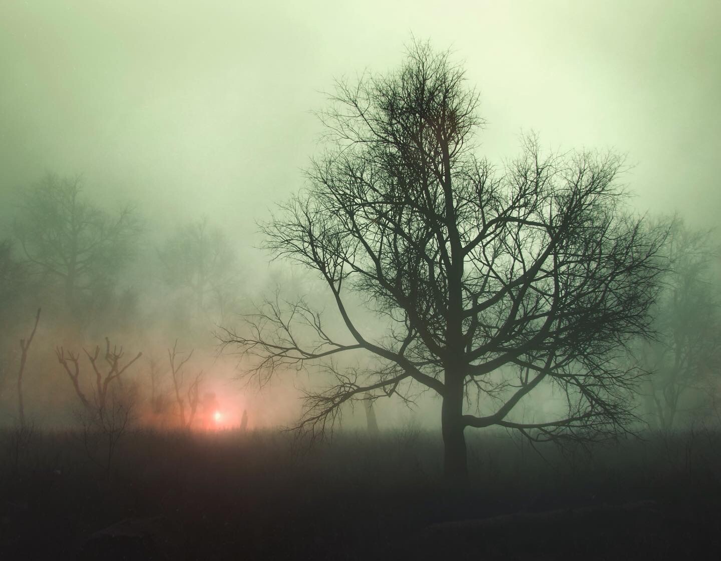 ArtStation - Here’s Wildlife Calm