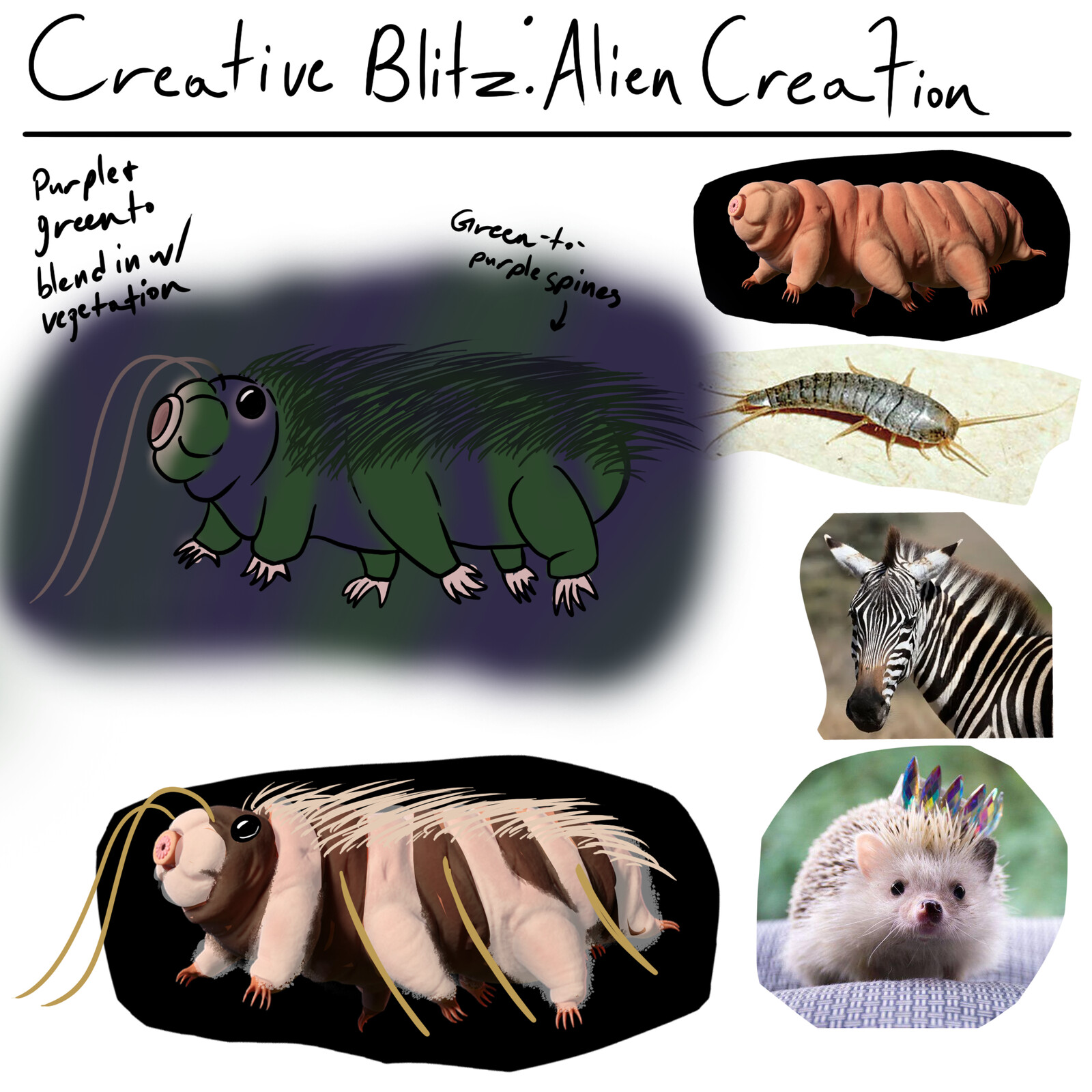 Olivia Vernon - Creative Blitz: Fuzzy Nightmares