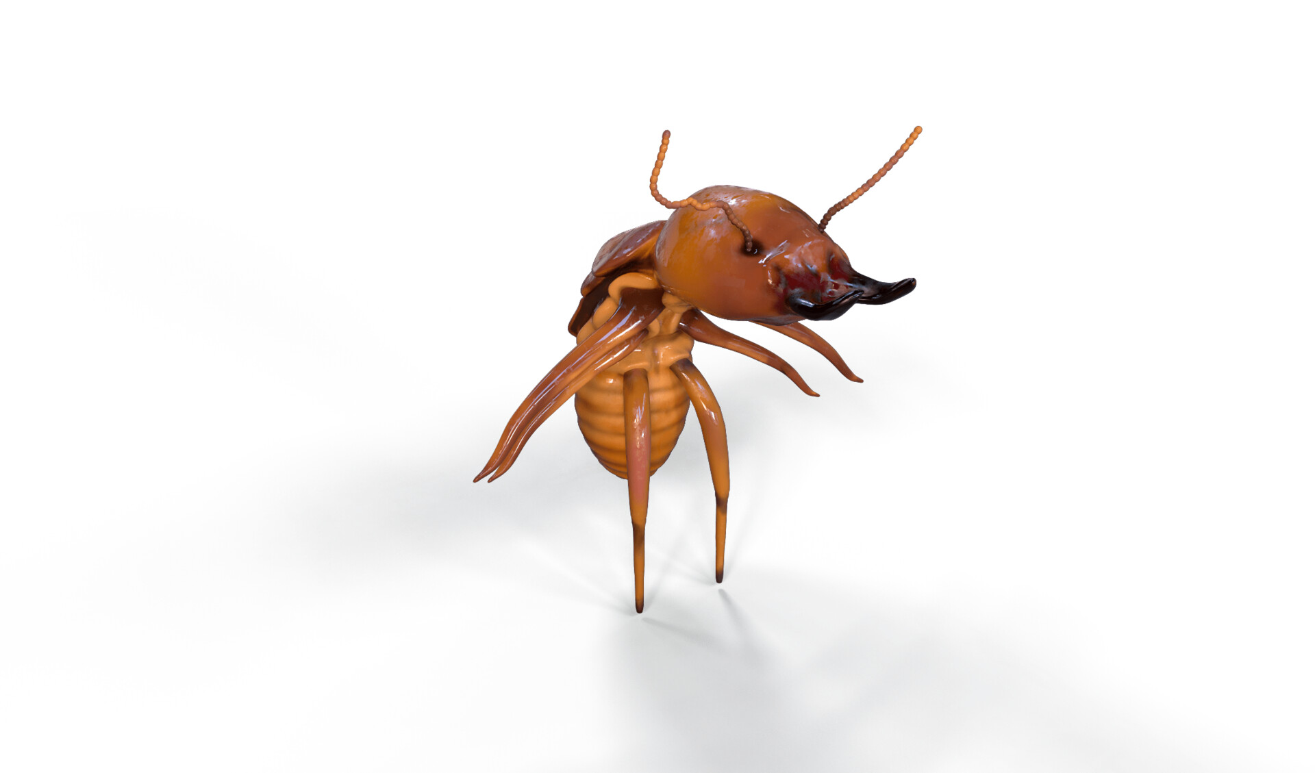 ArtStation - The Friendly Termite AR