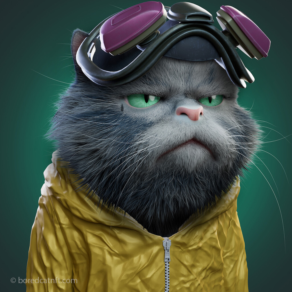 bored cat nft