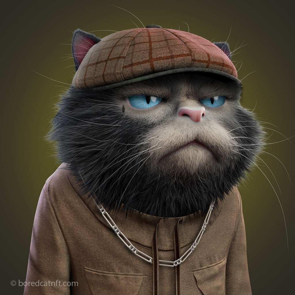 bored cat nft