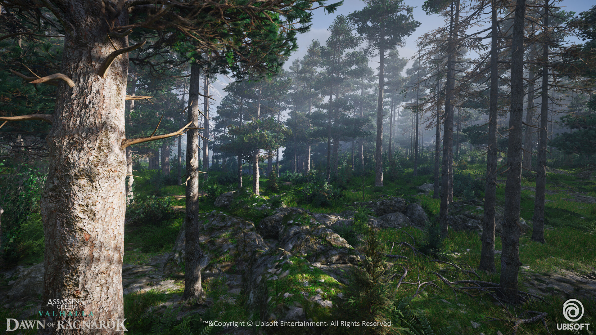 Samuil Munis - Taiga Forest - Assassin's Creed Valhalla: Dawn of Ragnarok