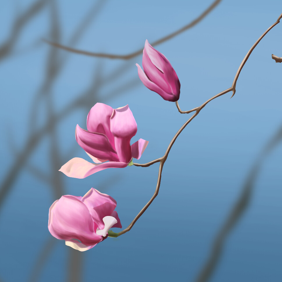 ArtStation - Flower Study 1