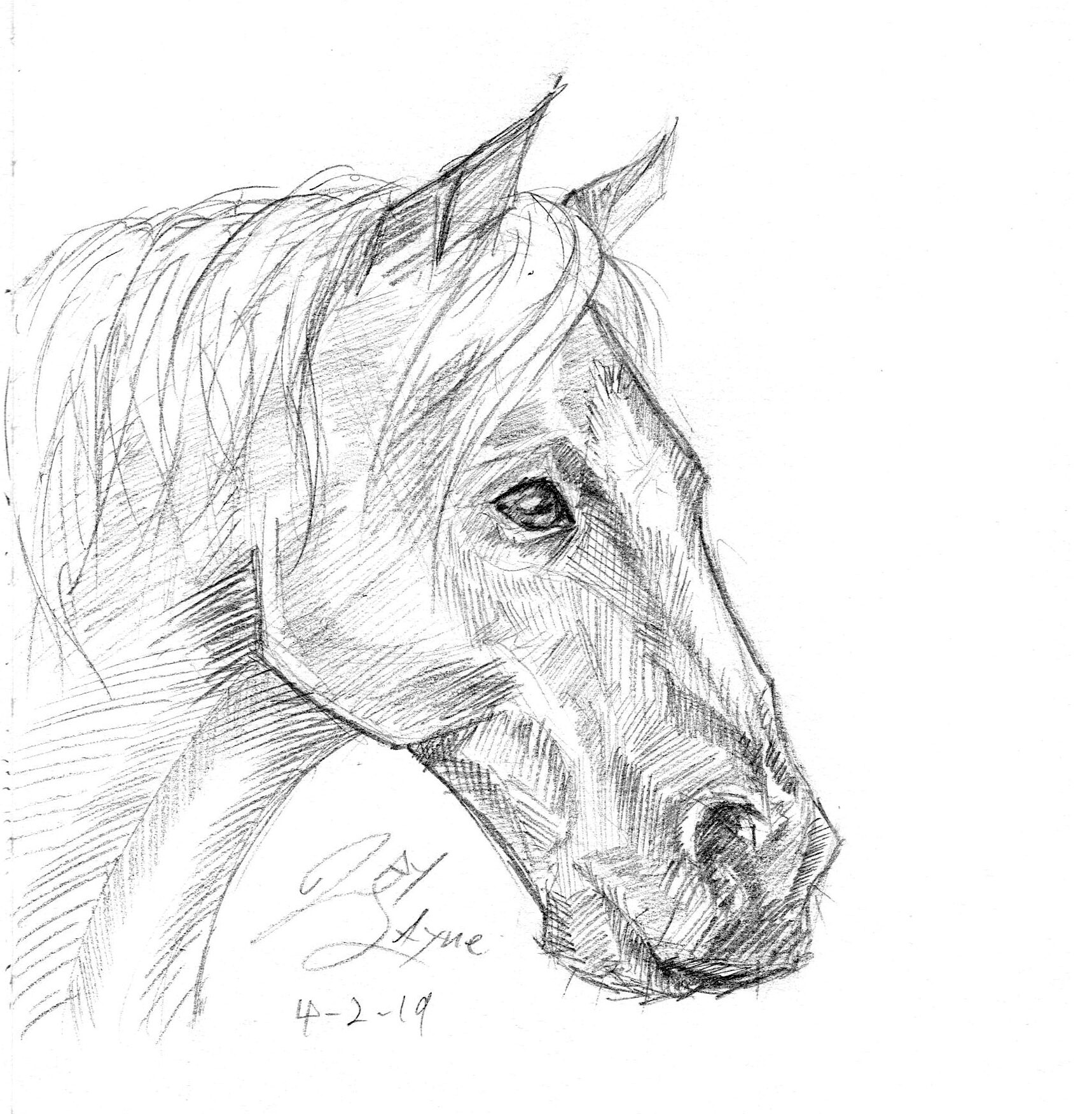 how to draw war horse