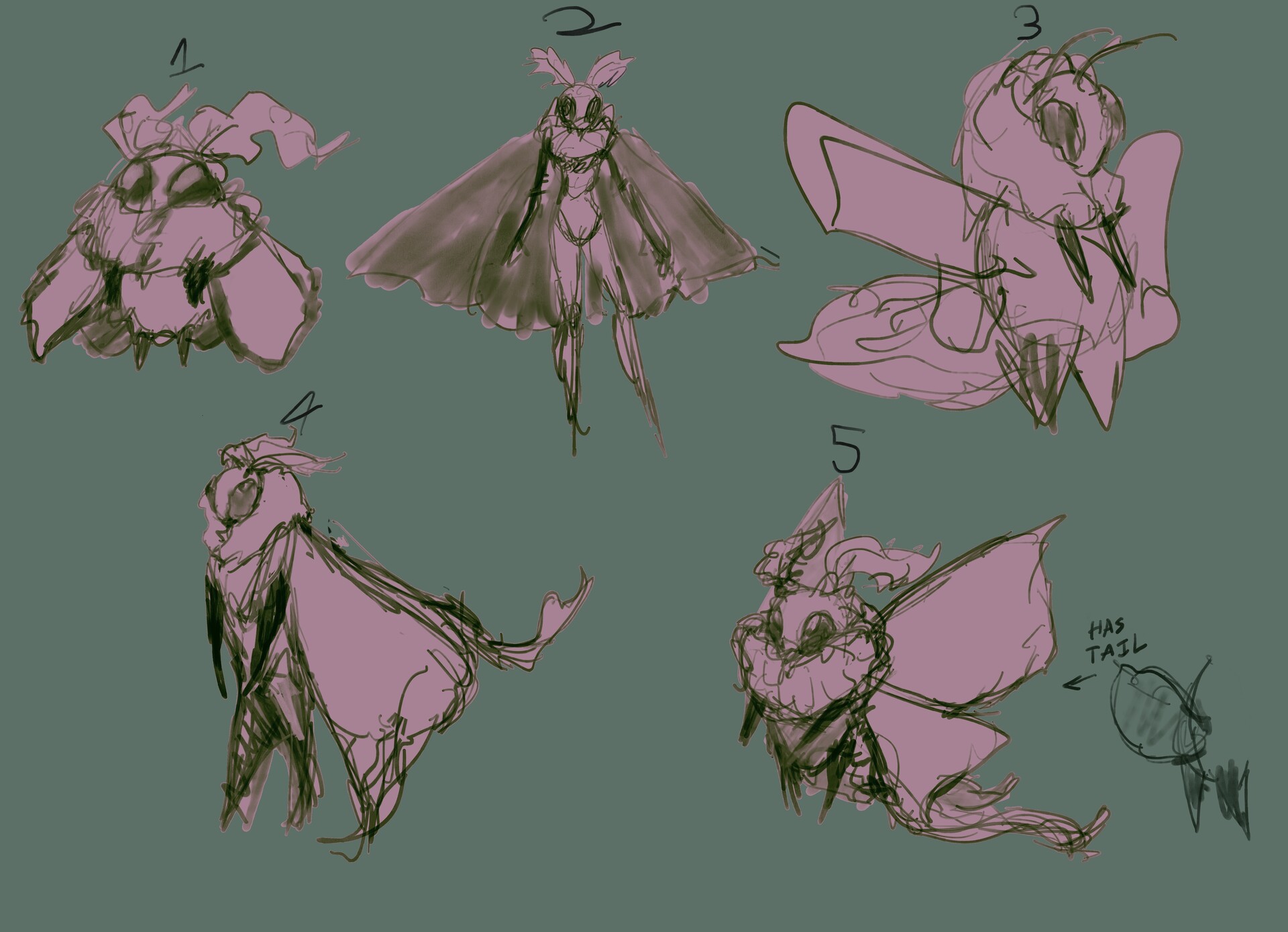 how to draw anthro insects