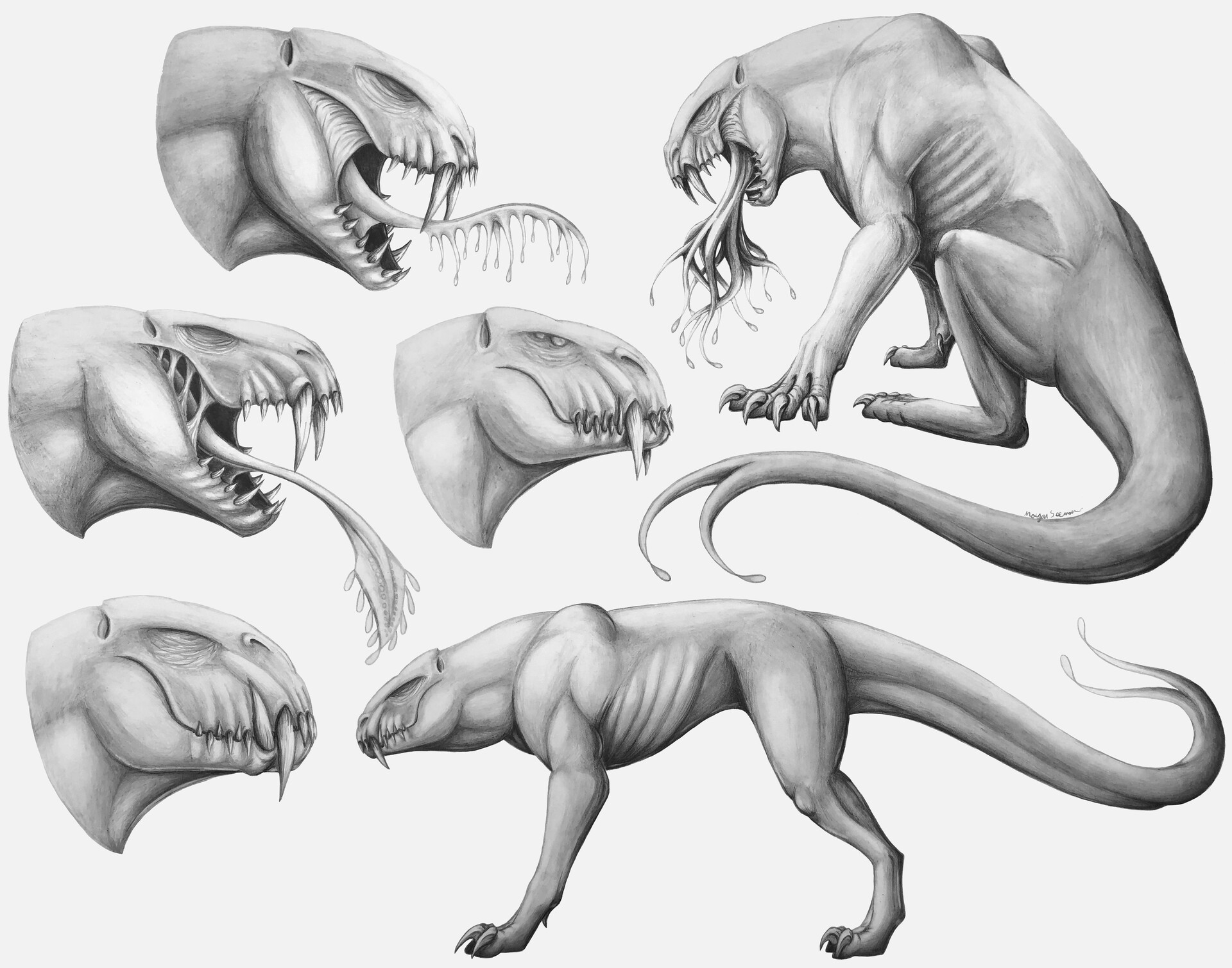 how to draw angler fish monster