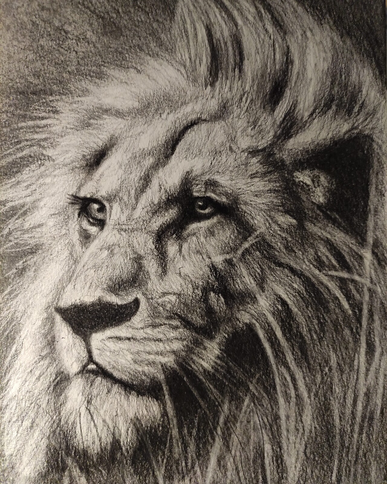 Markus Zimmermann - Waiting for the right moment