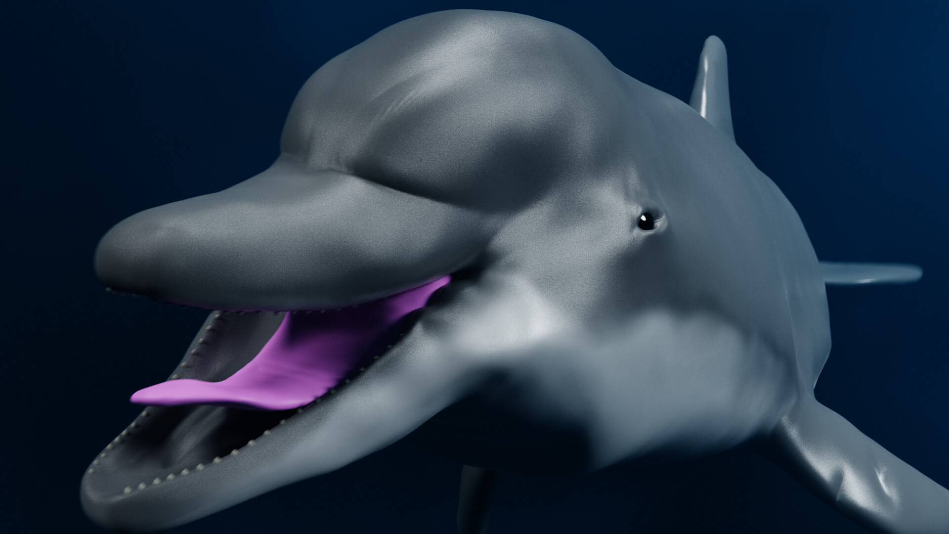 ArtStation - Dolphin