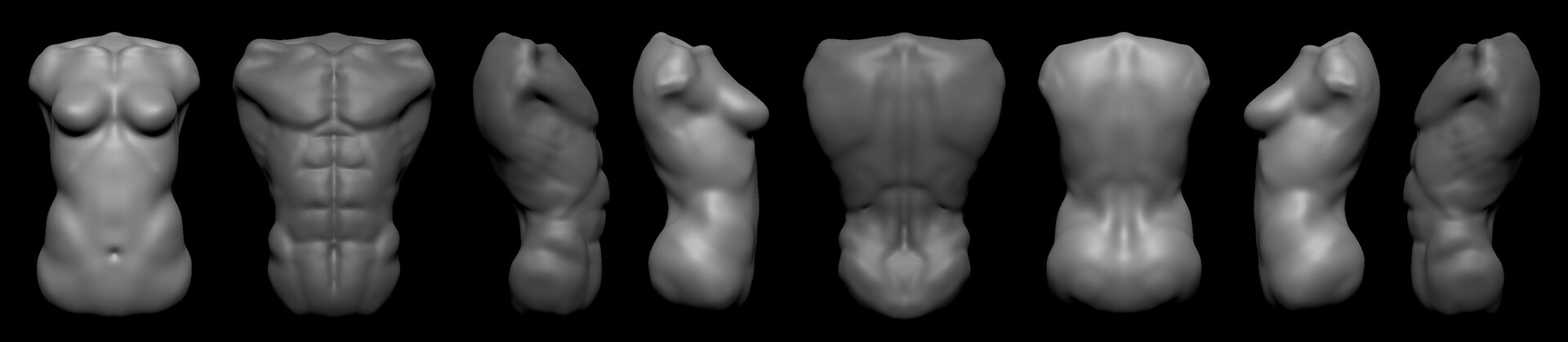 ArtStation - Torso study