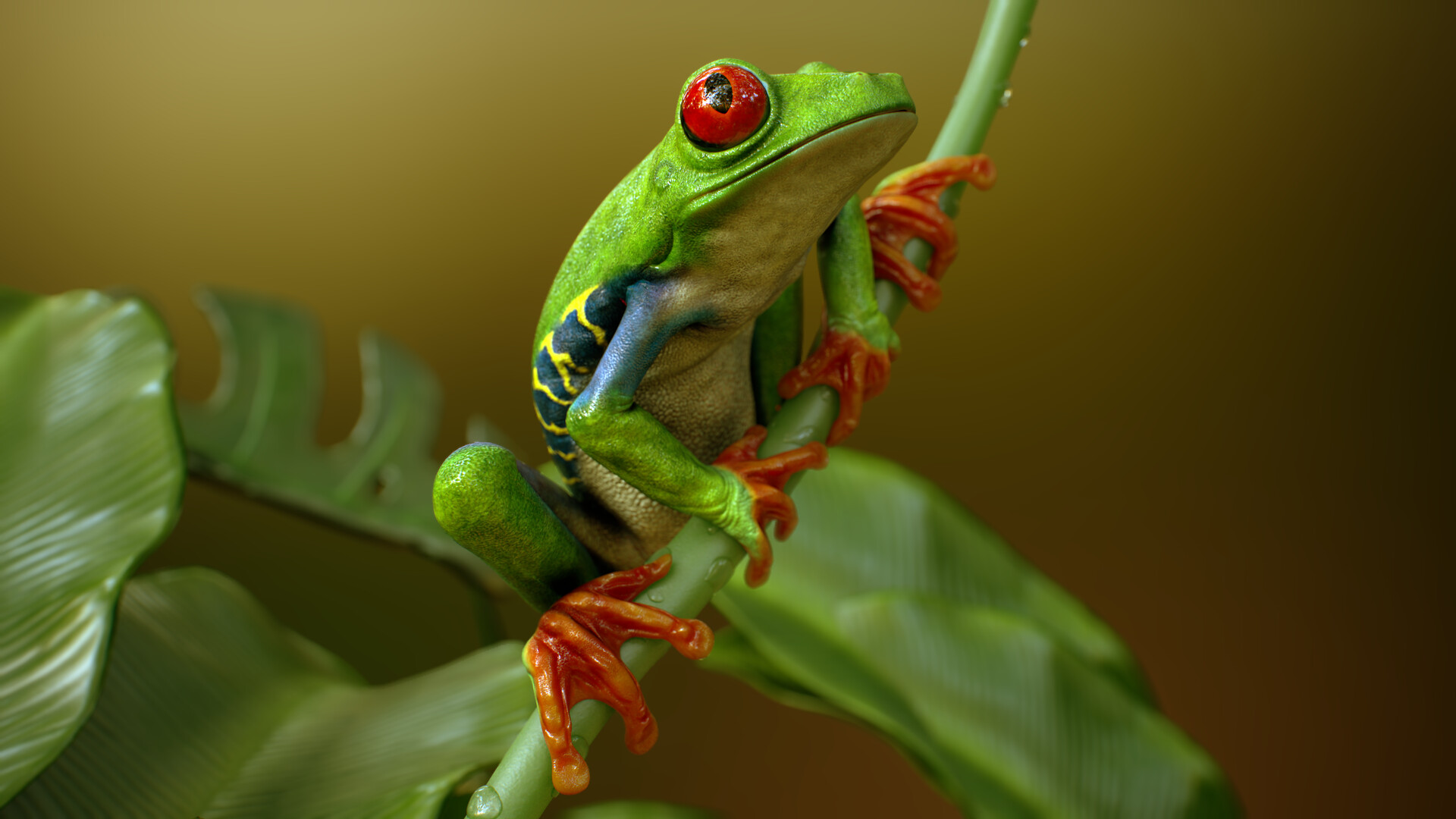 Alex McClelland - Tree Frog