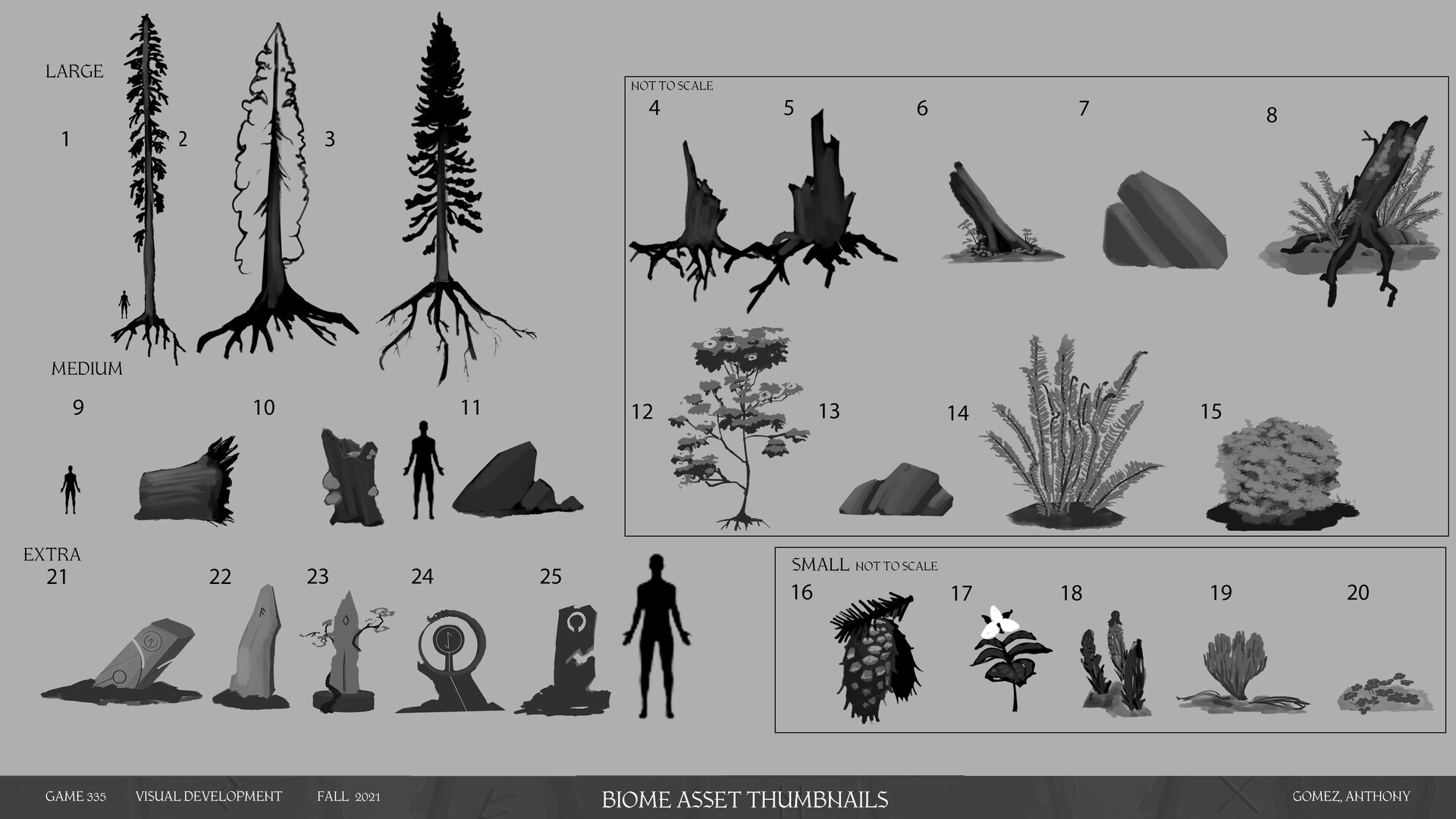 Anthony Gomez - Biome Visual Development- AltaRune
