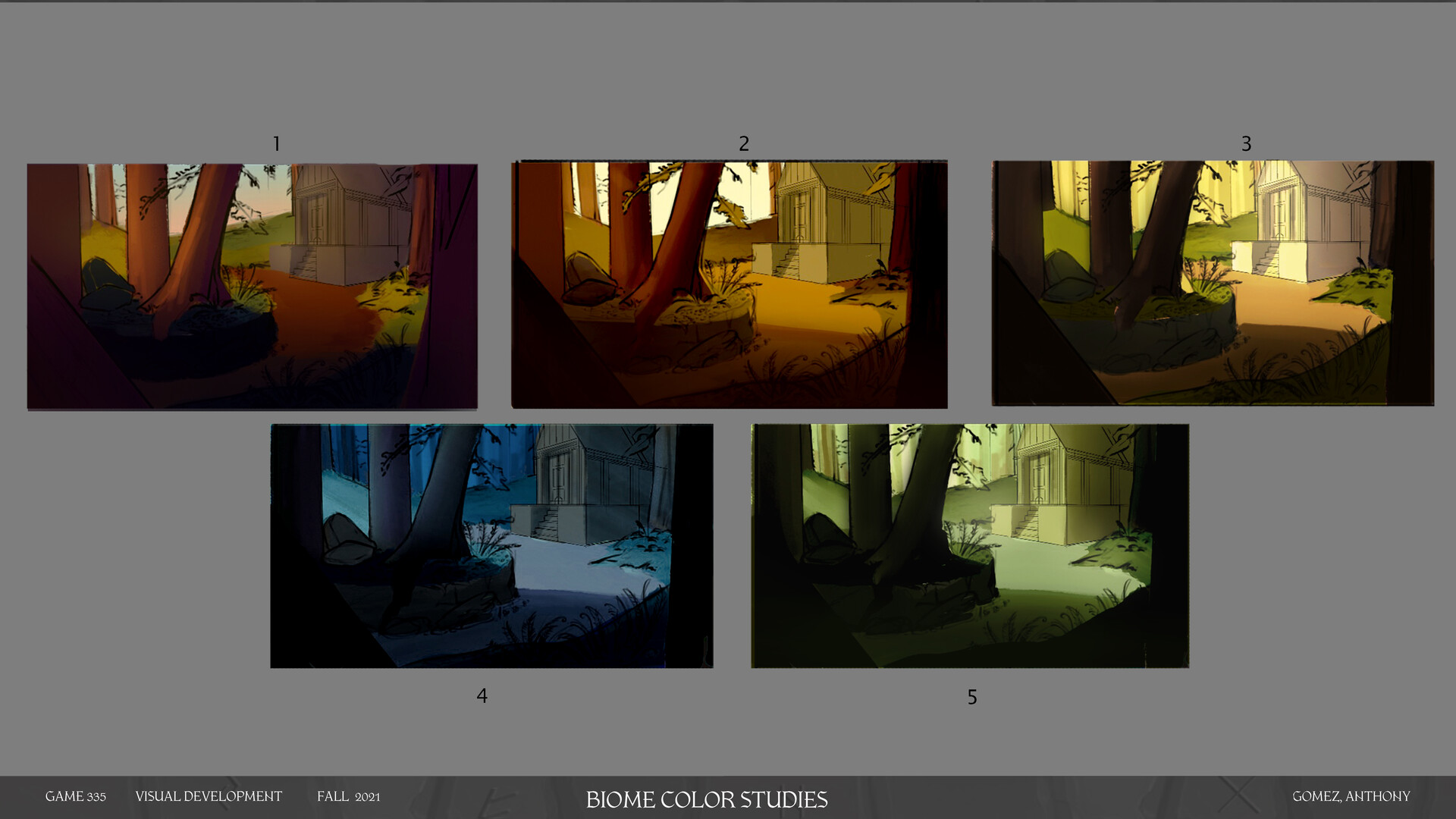 Anthony Gomez - Biome Visual Development- AltaRune