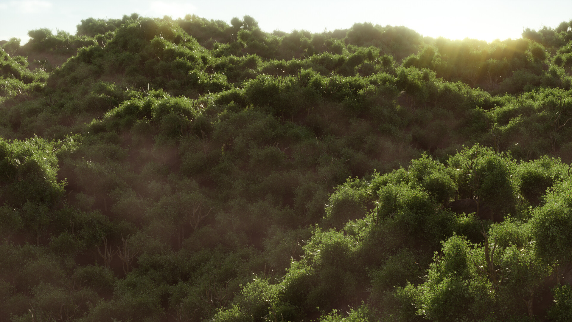 ArtStation - Landscape - Blender 3D