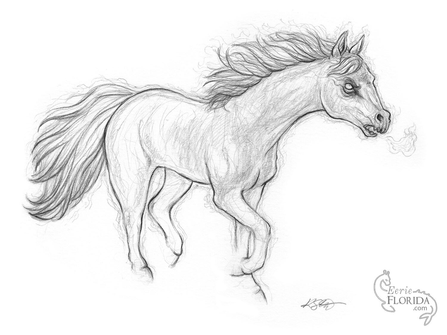 Kari Schultz - Ghost Horse Harbinger