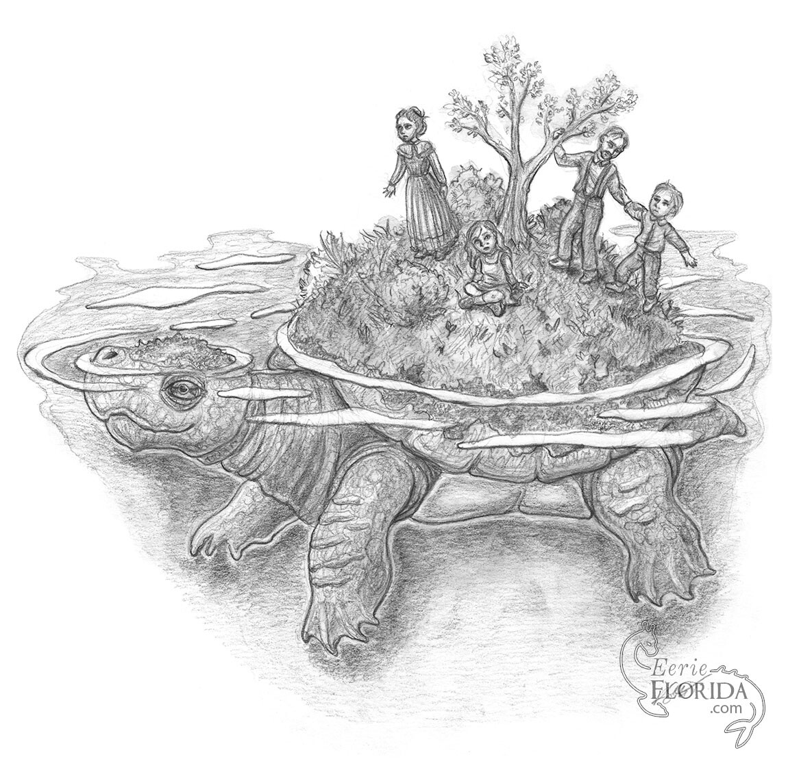 Kari Schultz - Turtle Island