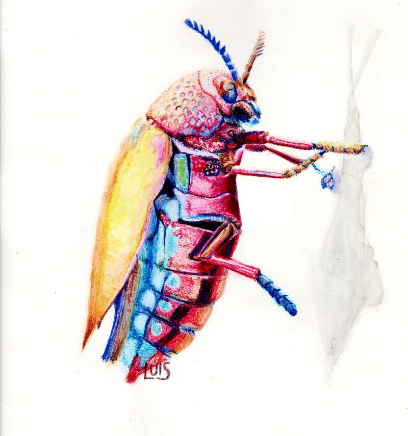 ArtStation - Luis Armenta