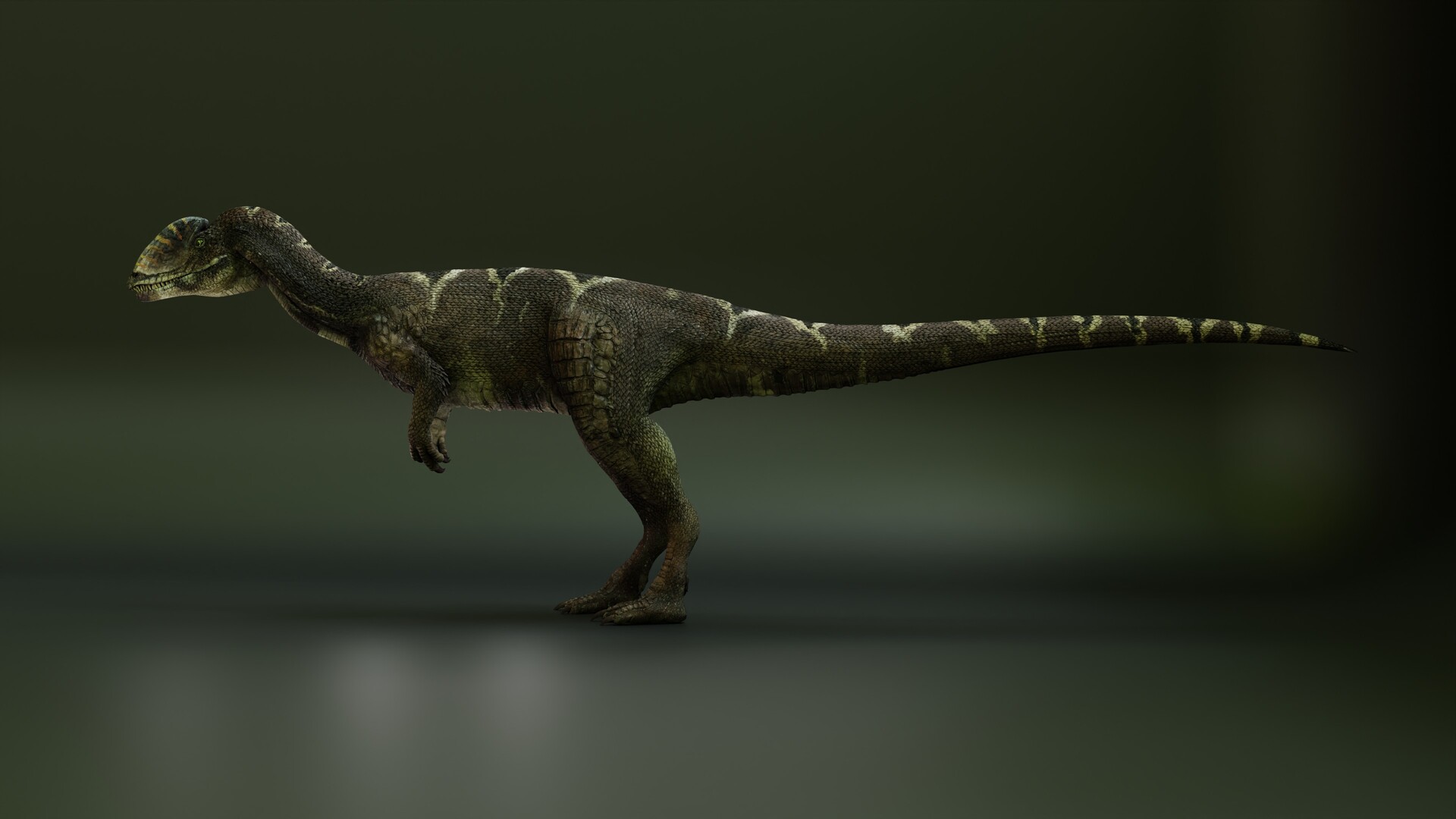 Cody Zimmerman - Dracovenator - Primal Dominion:Aftermath