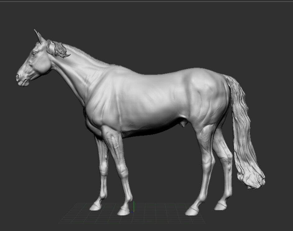 ArtStation - Stallion