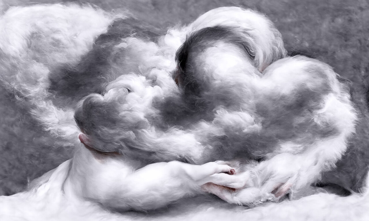 ArtStation - delusion