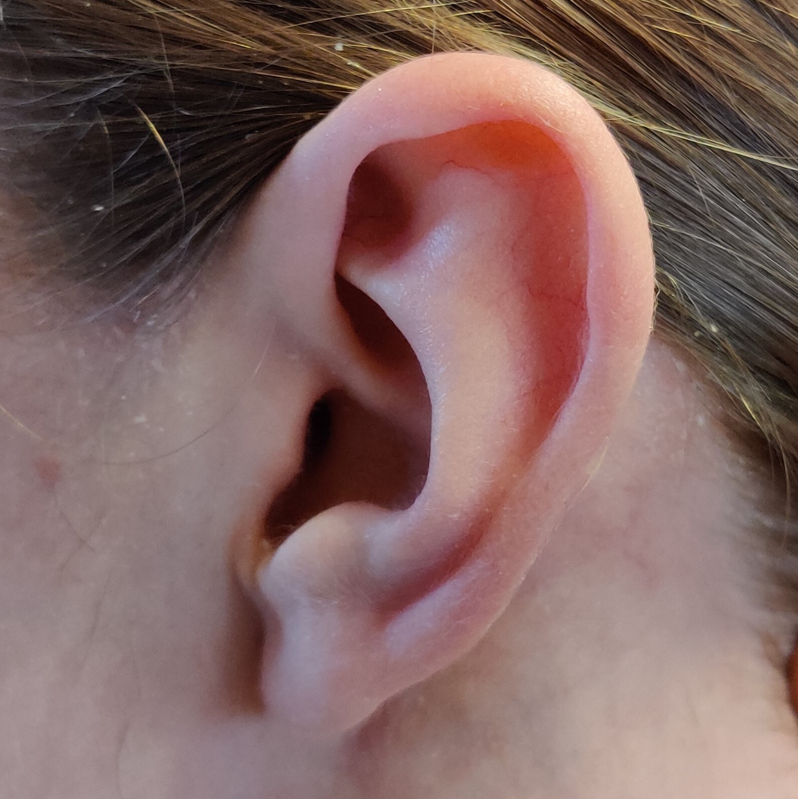 Simon Strasser - Bachelor thesis - Comparison between Substance 3D Painter, Quixel Mixer and ...