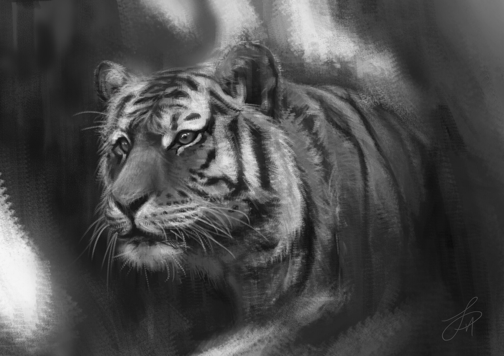 ArtStation - Digital Drawing_Animal