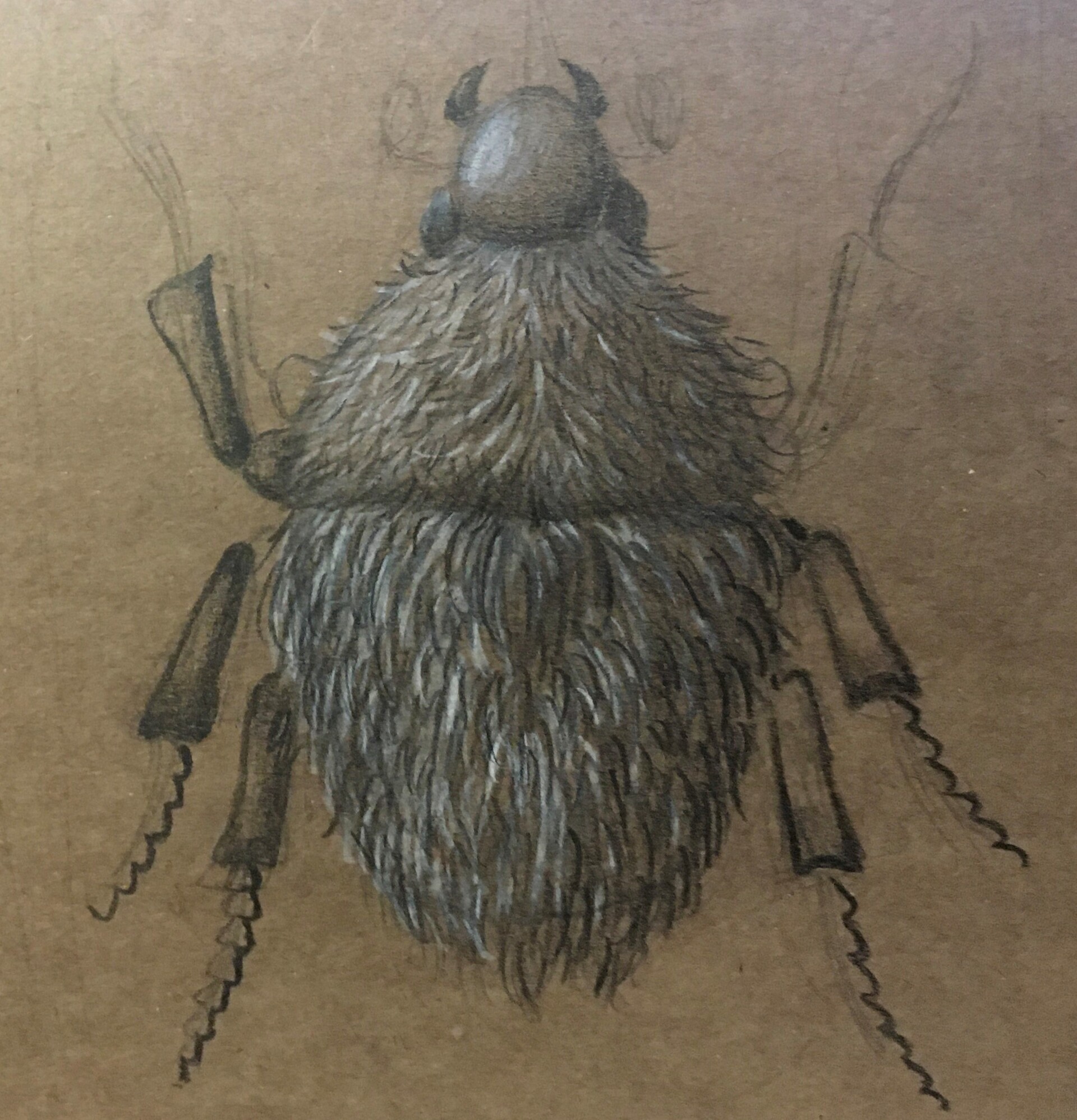 ArtStation - Insects