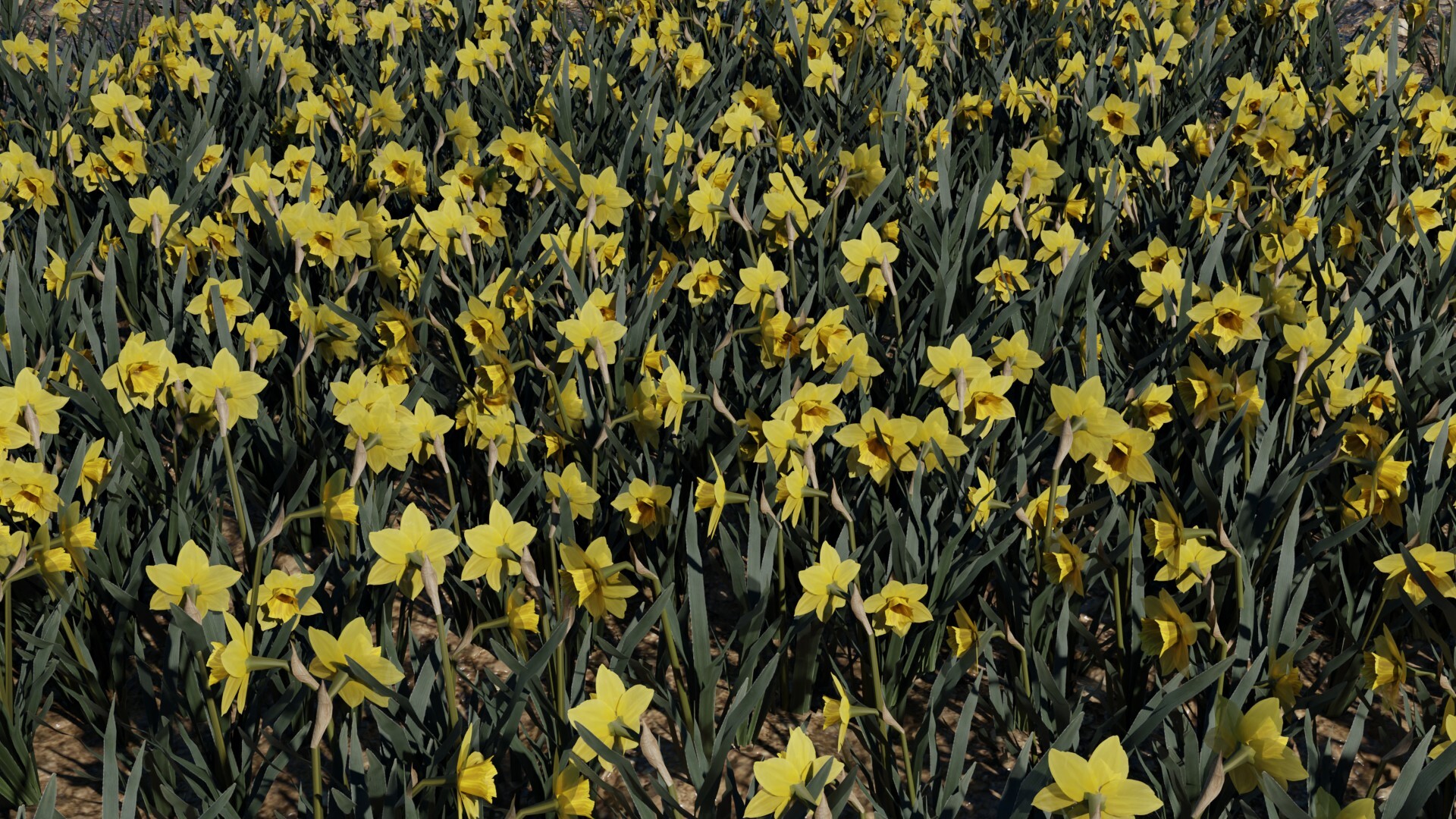 ArtStation - Low Poly Spring Flowers