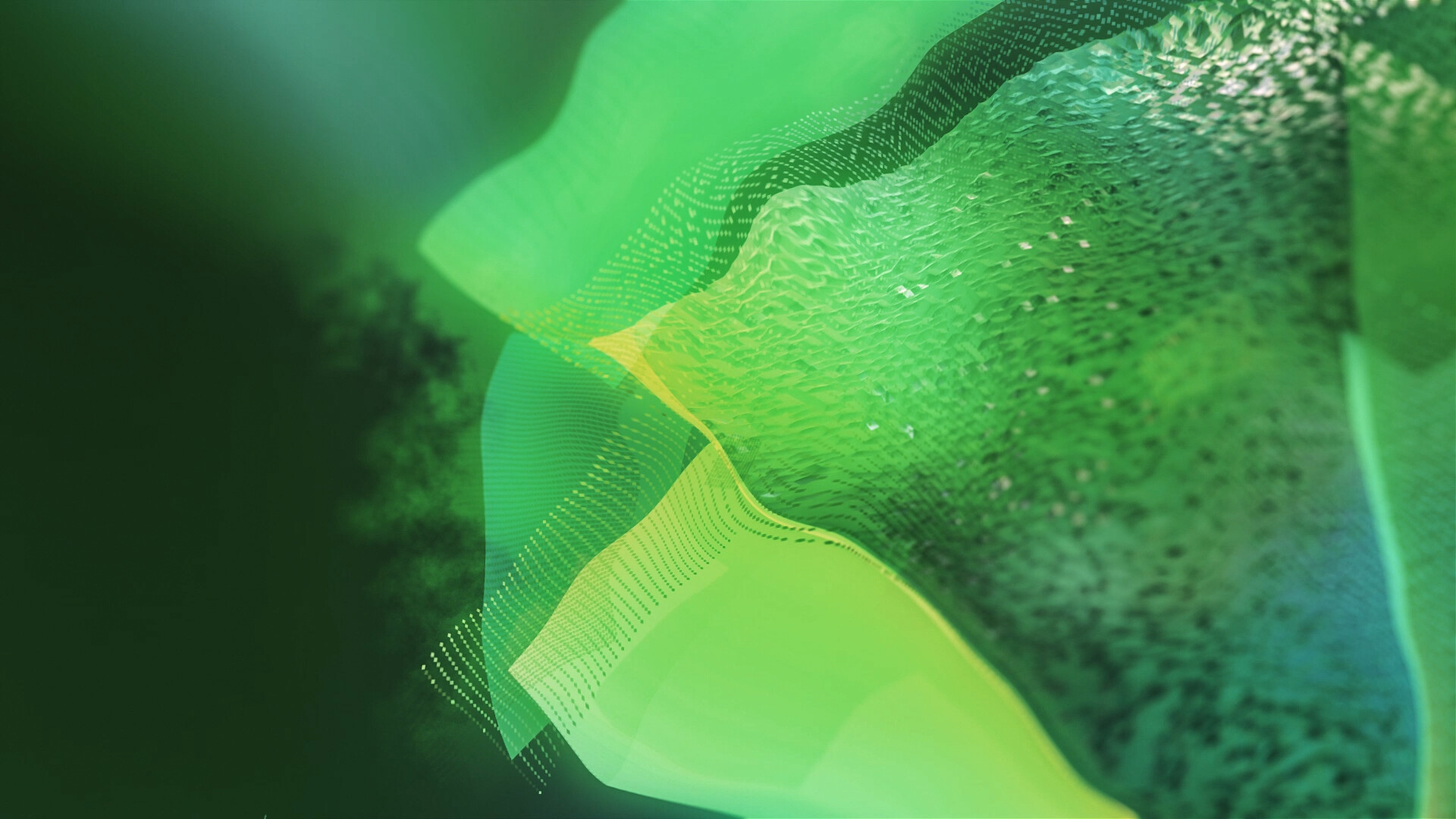 Gary Bird - Emerald Mist