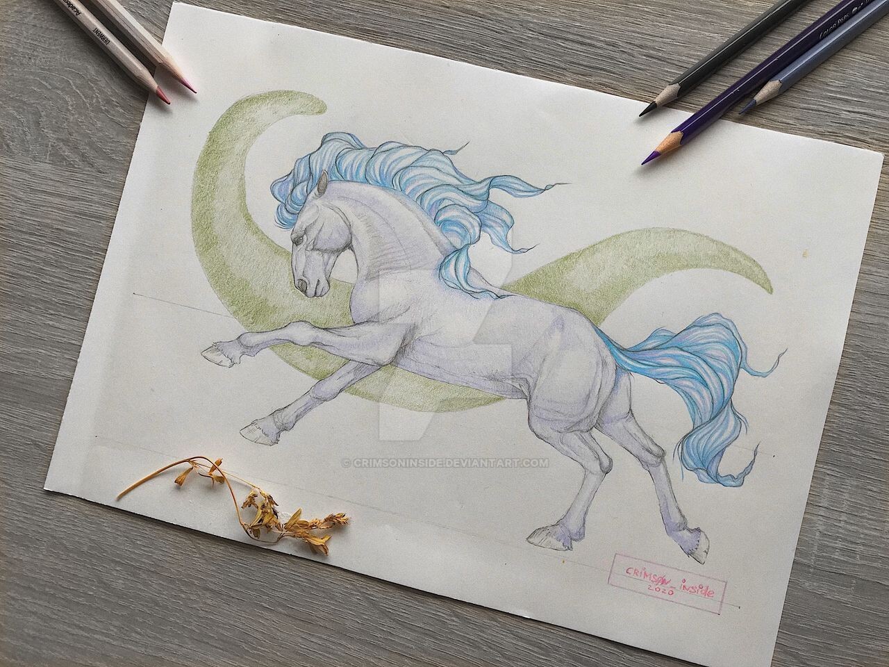 ArtStation - LOTR - Shadowfax |ColourPencil 2020