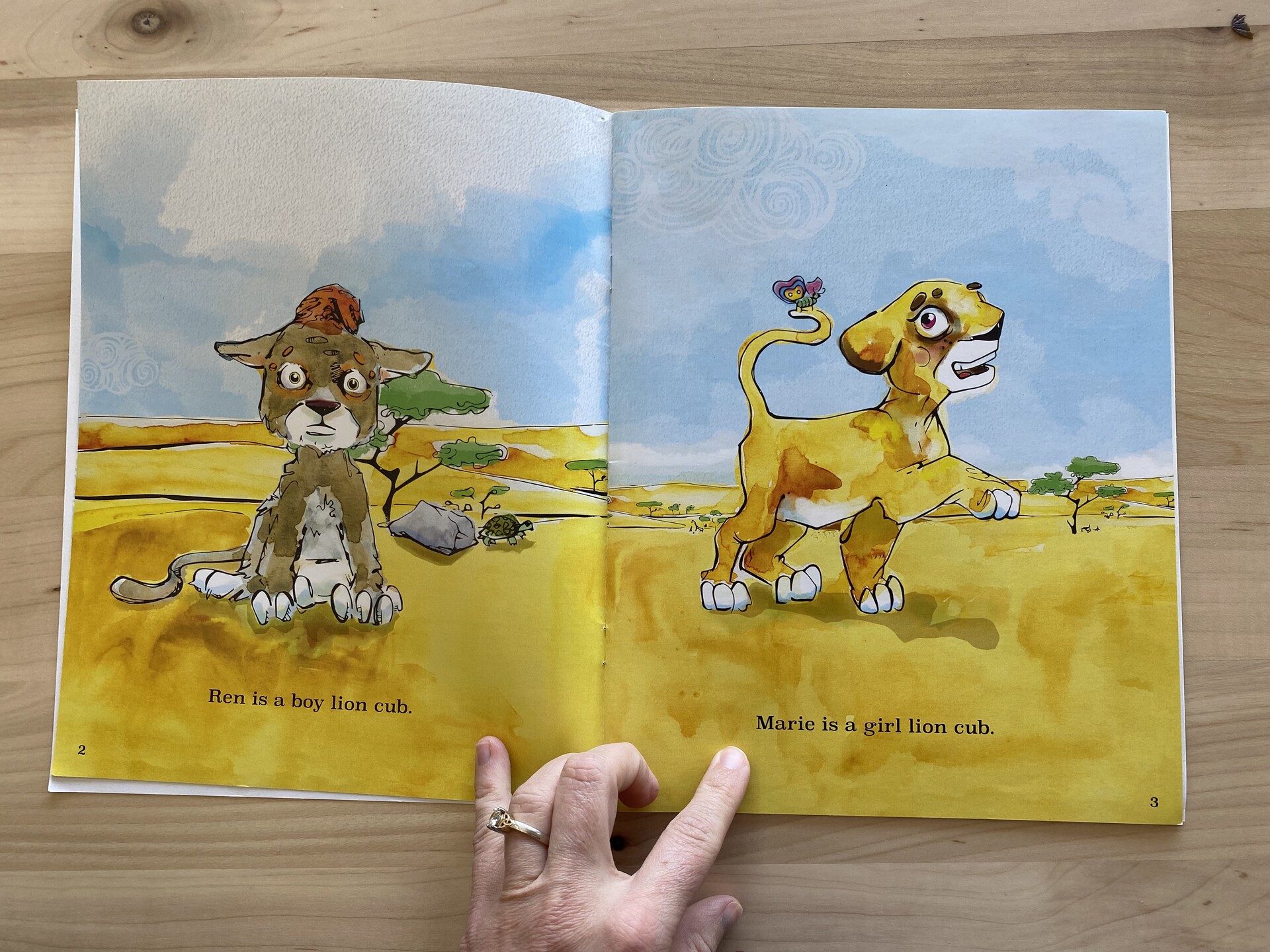 McCal Joy Art and Illustration: Portfolio - Ren and Marie I Book Design