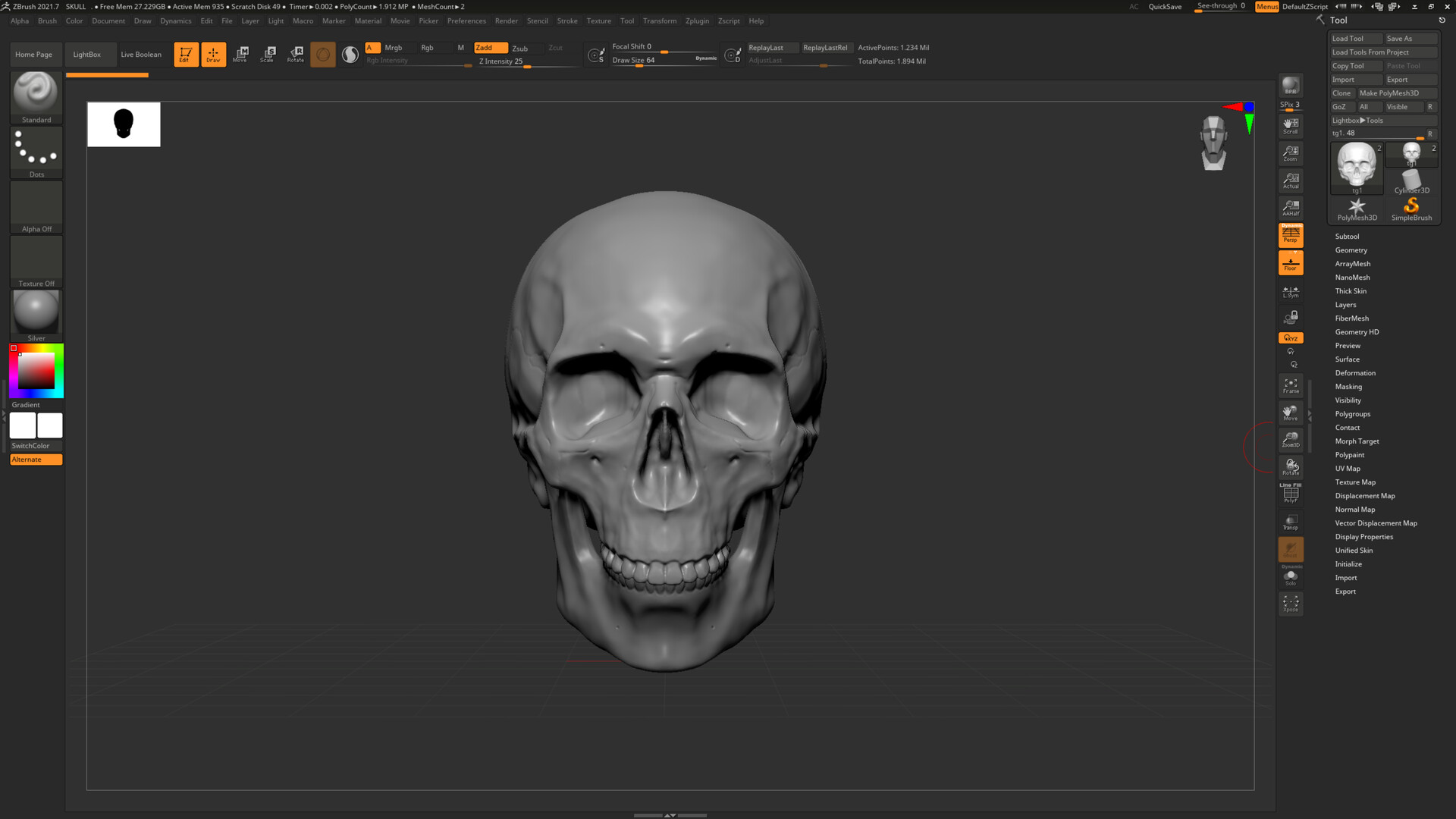 ArtStation - Skull Sculpting Practice