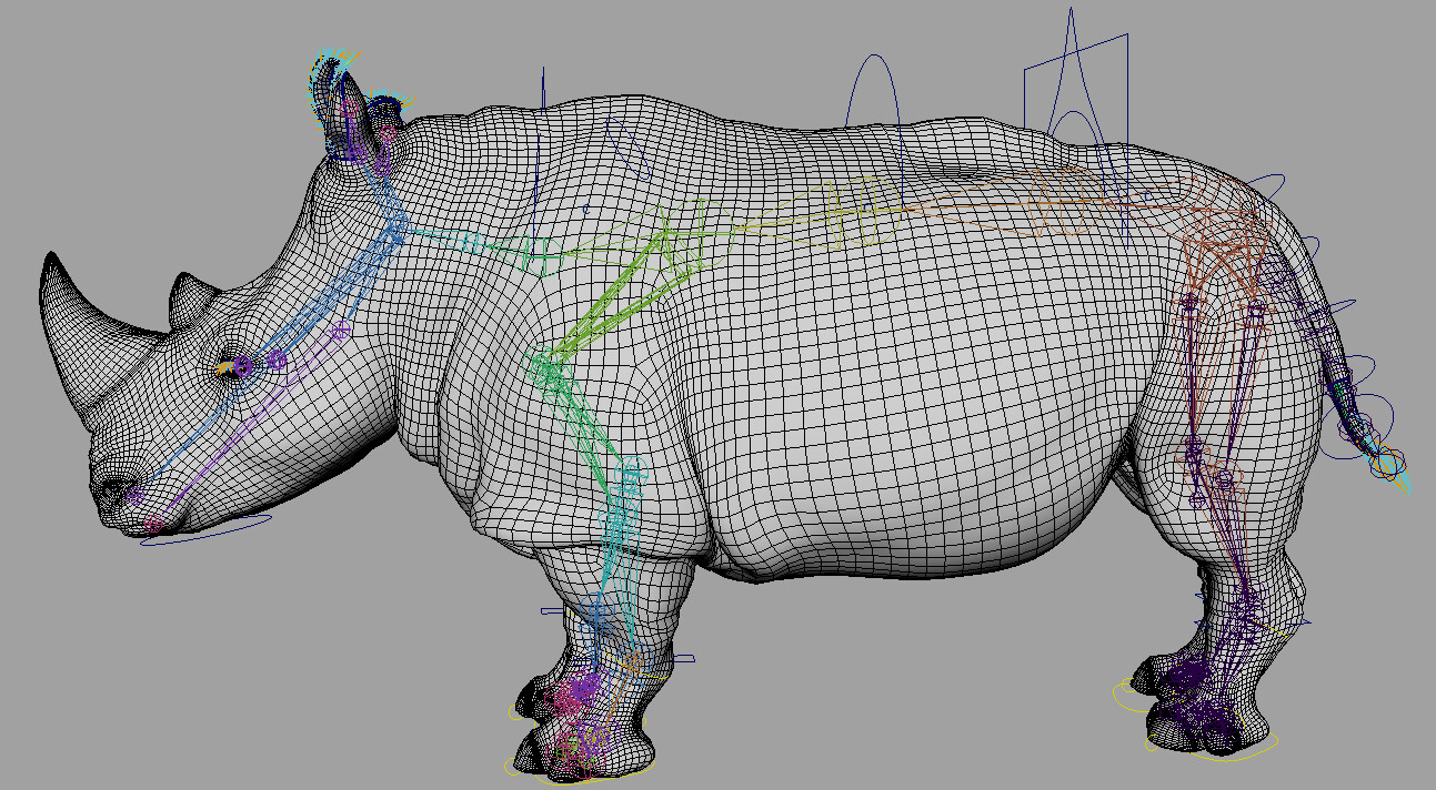 Gabriel Melendez - White Rhinoceros