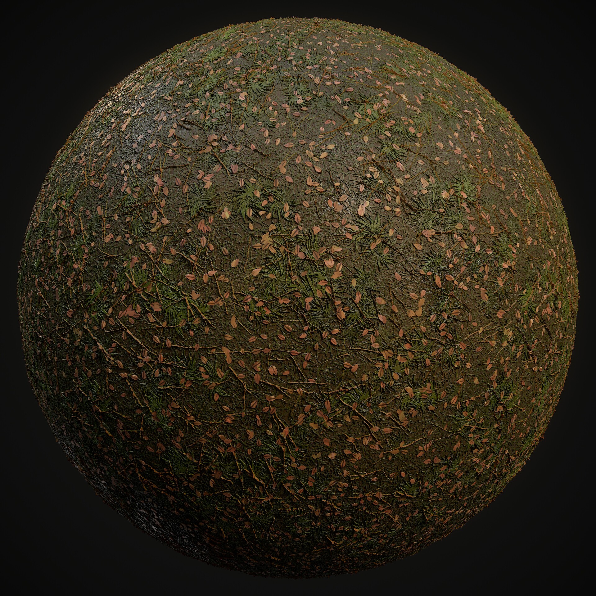 Ryan Dao - Natural Forest Materials