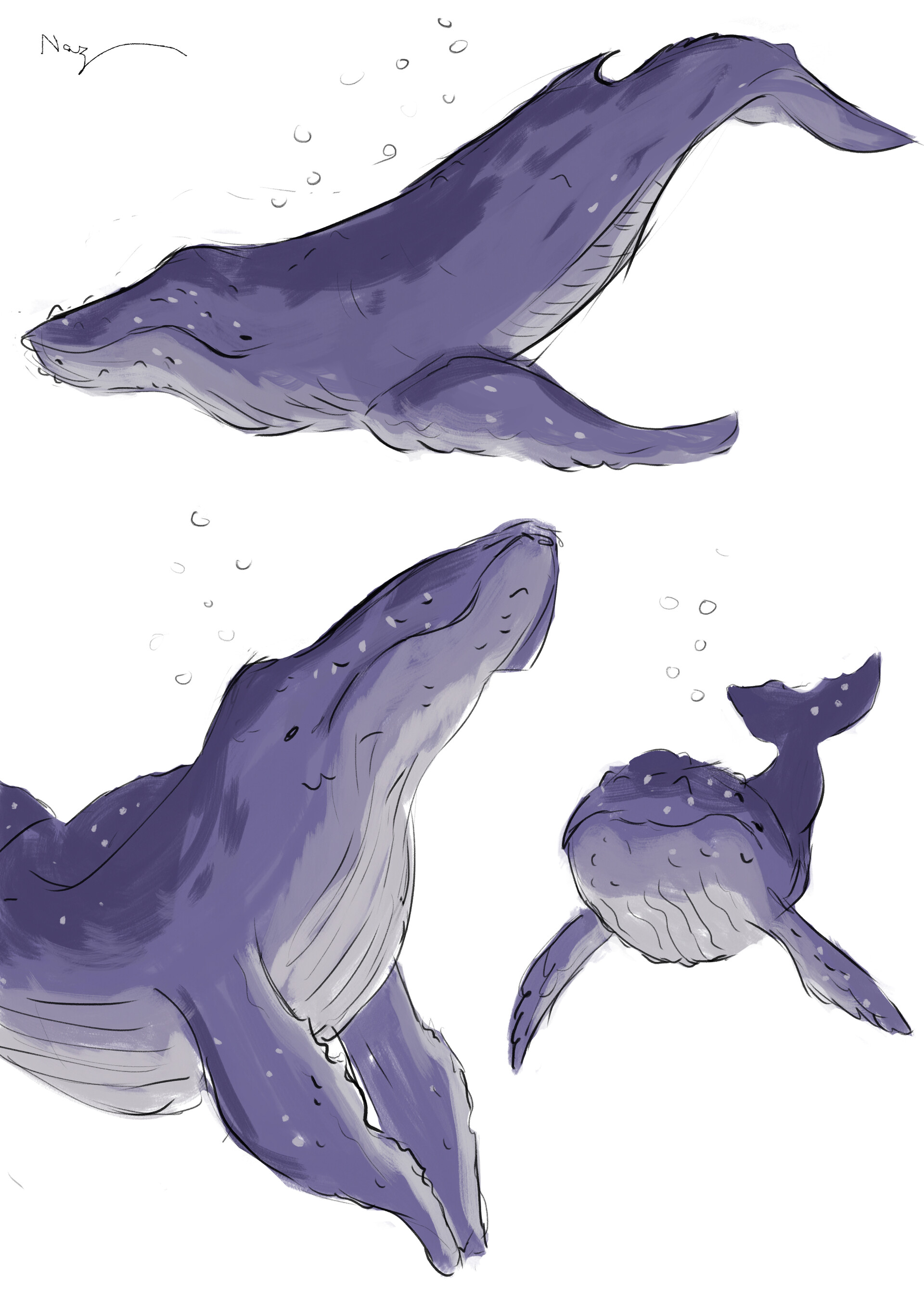 Nazly Sabit - WIP - Character Designs - Authentic Voices brief