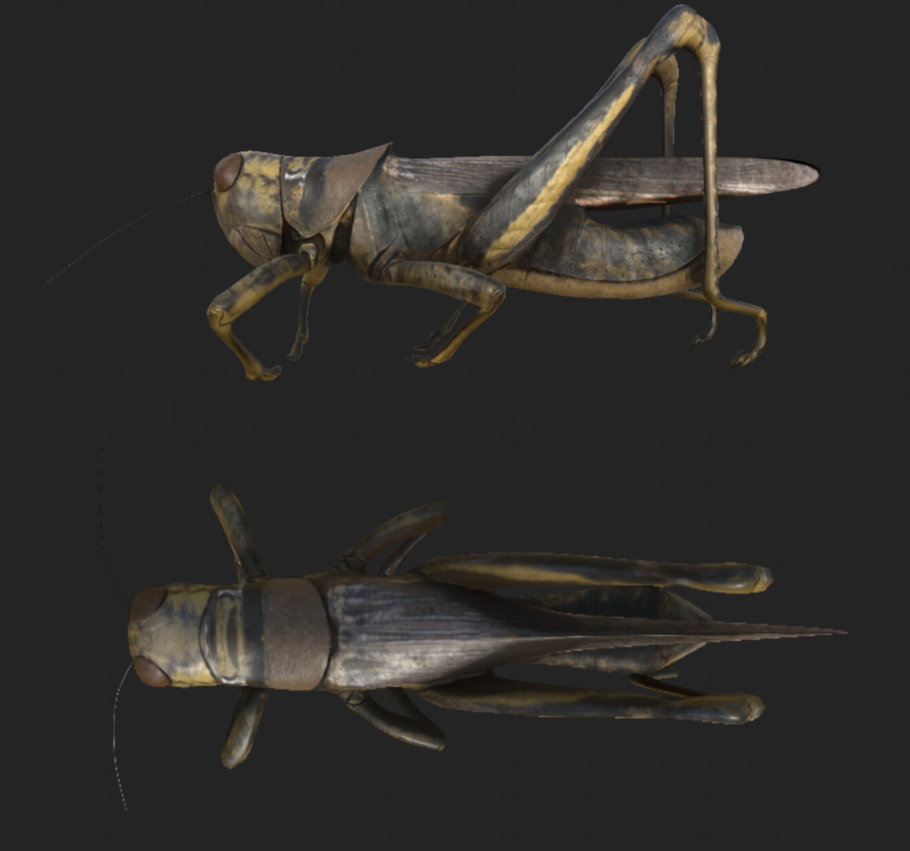 ArtStation - Grasshopper Model